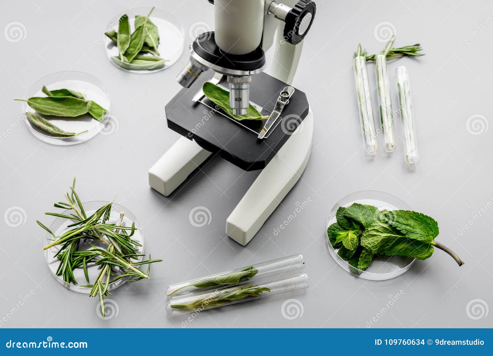 Safety Food. Laboratory for Food Analysis Stock Photo - Image of ...
