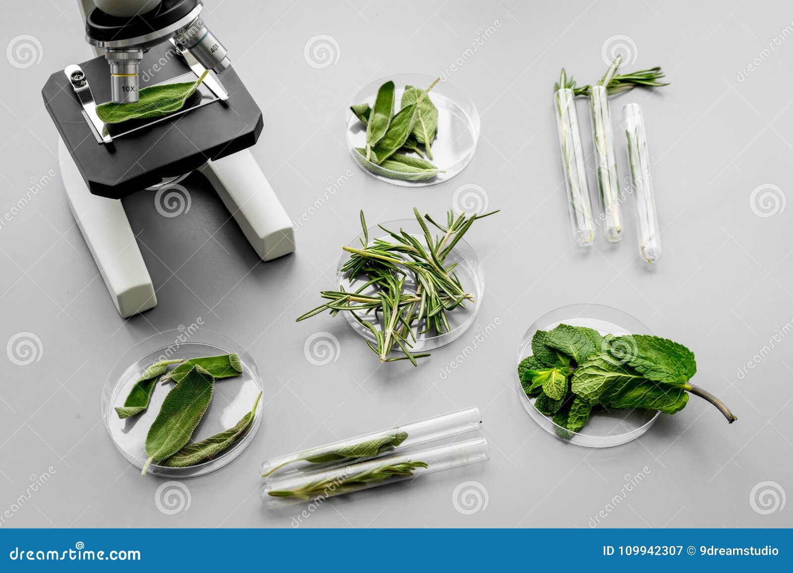 Safety Food. Laboratory for Food Analysis Stock Image - Image of pest ...