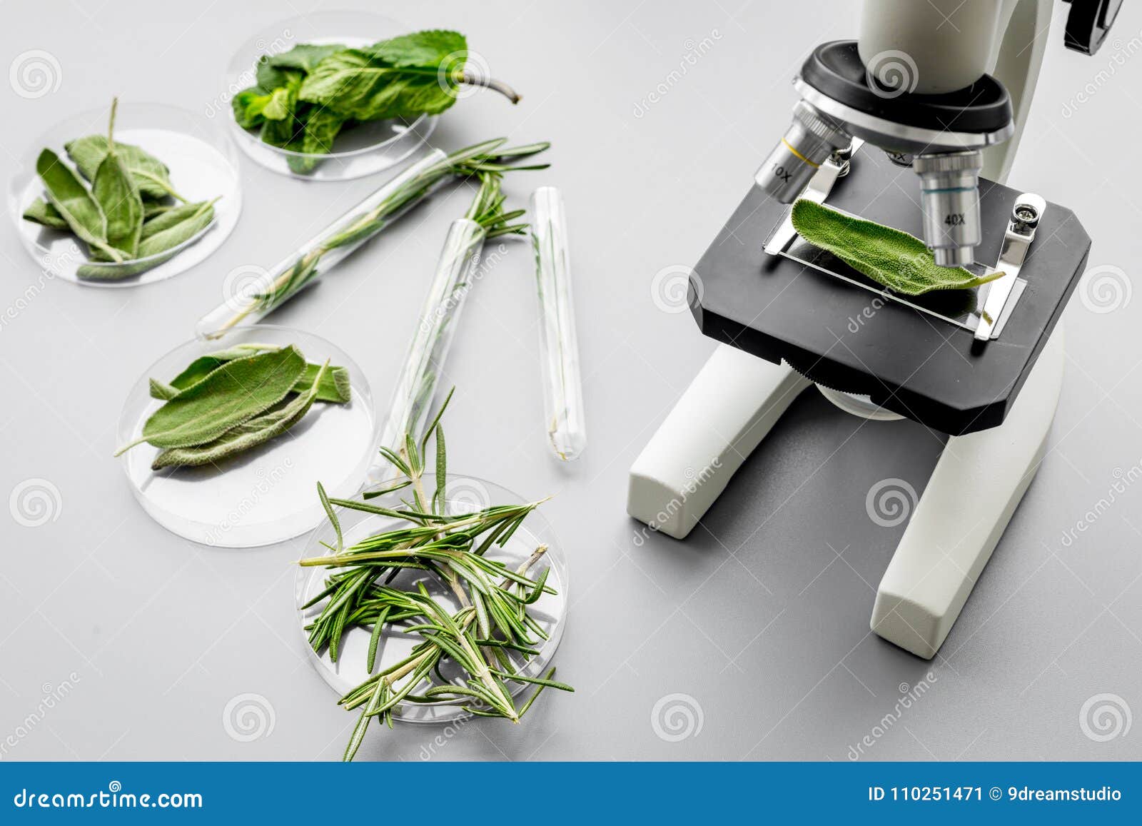 Safety Food. Laboratory for Food Analysis Stock Image - Image of health ...