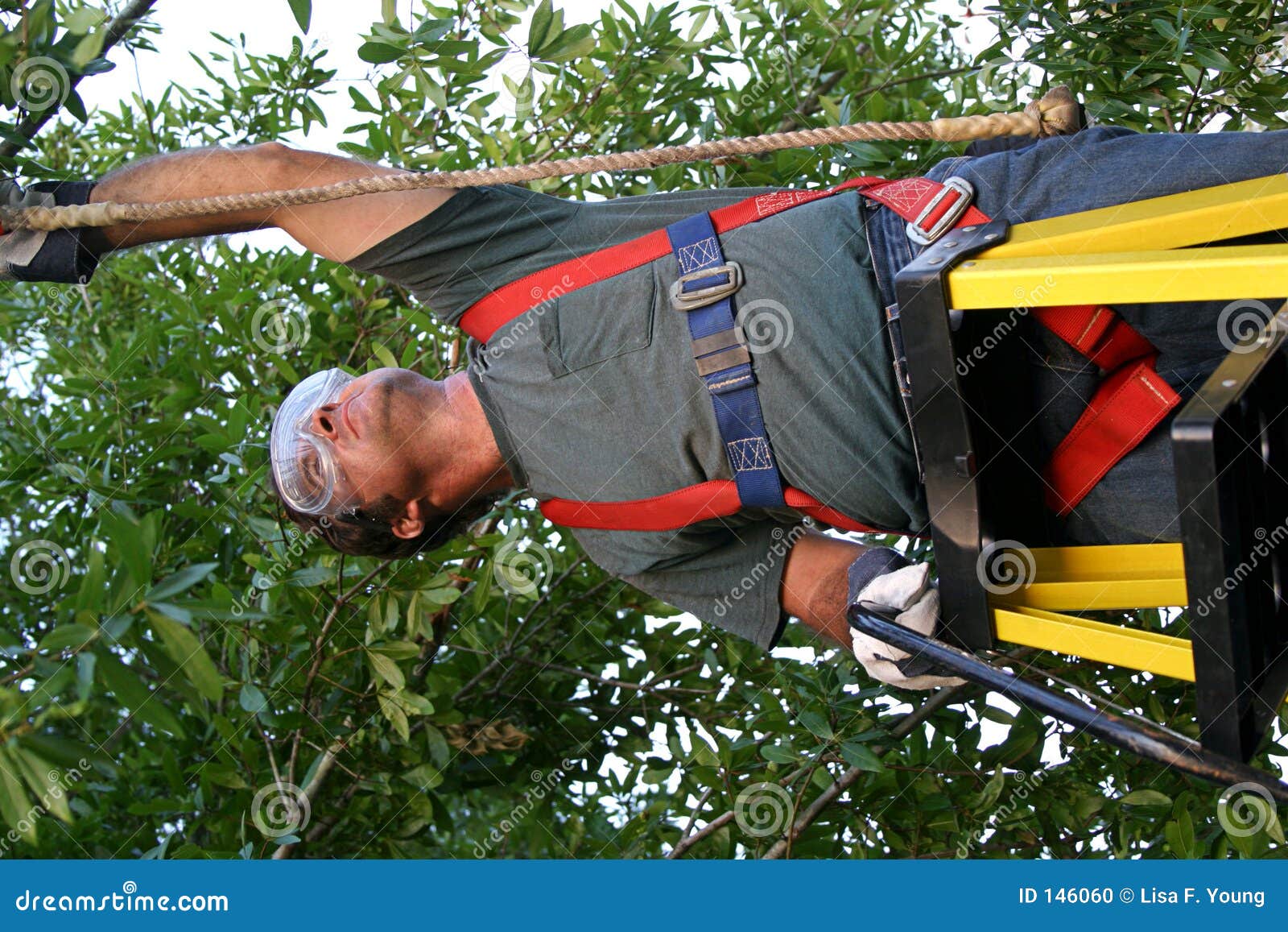 Safety on the Job stock photo. Image of safe, handyman - 146060