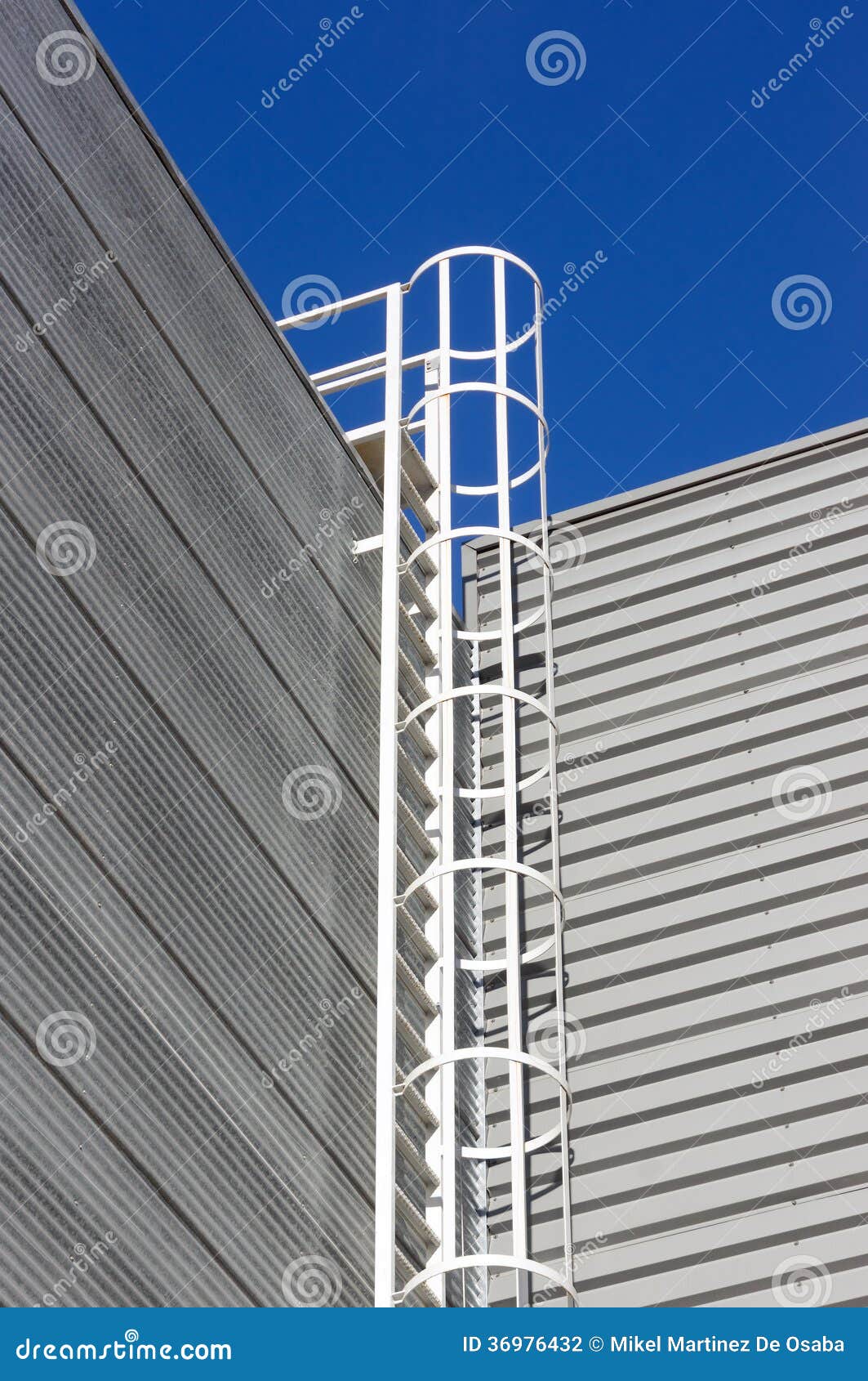 Safety Ladder Stock Photography | CartoonDealer.com #21852422