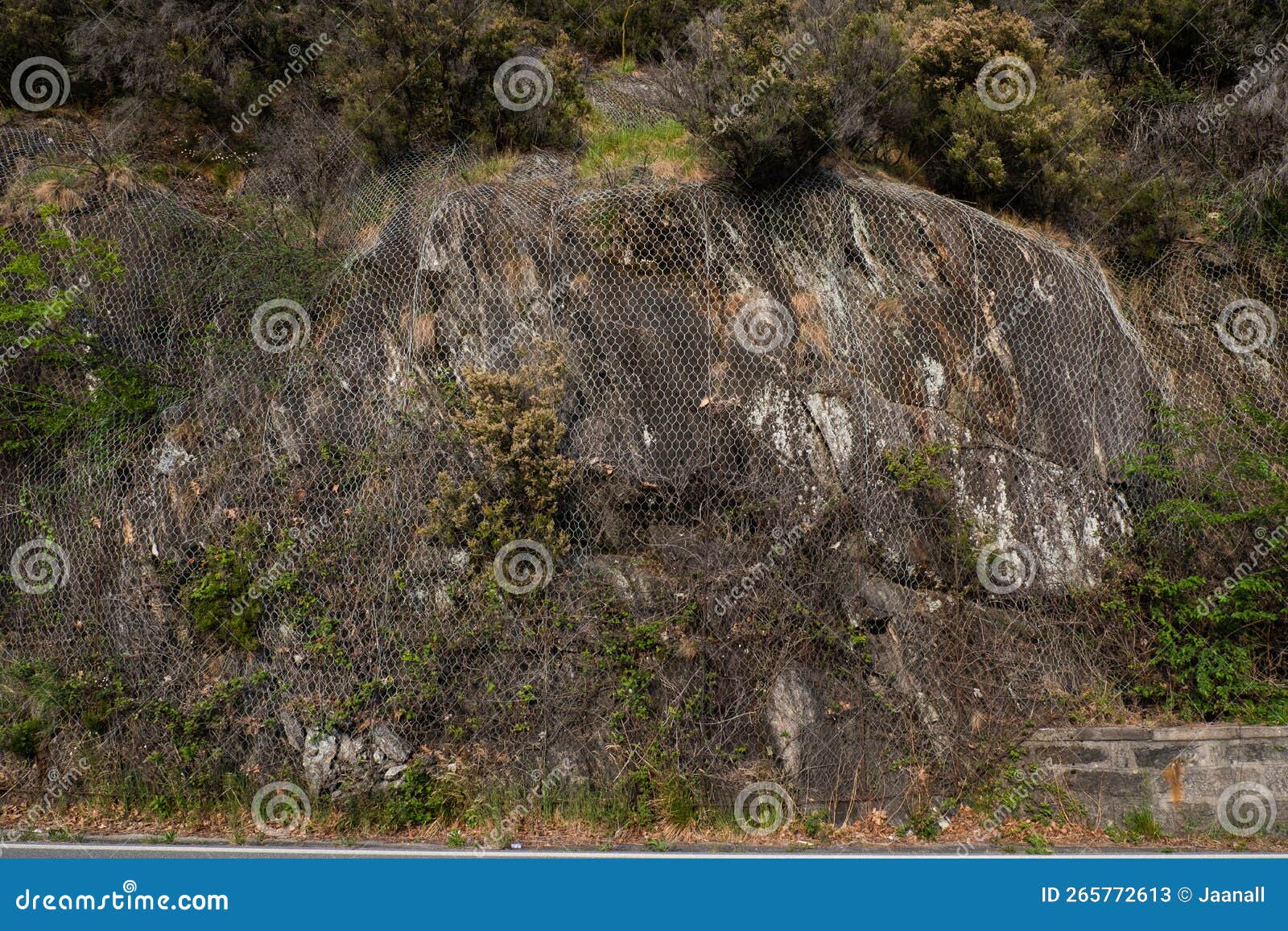 Safety Net for Rockfall on Cliff Stock Image - Image of protective ...