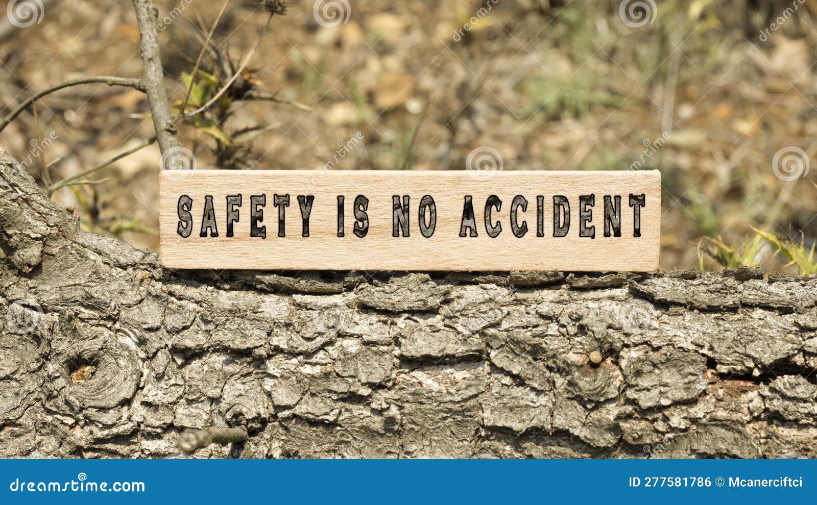 Safety is No Accident. Written on Wooden Surface Stock Photo - Image of ...