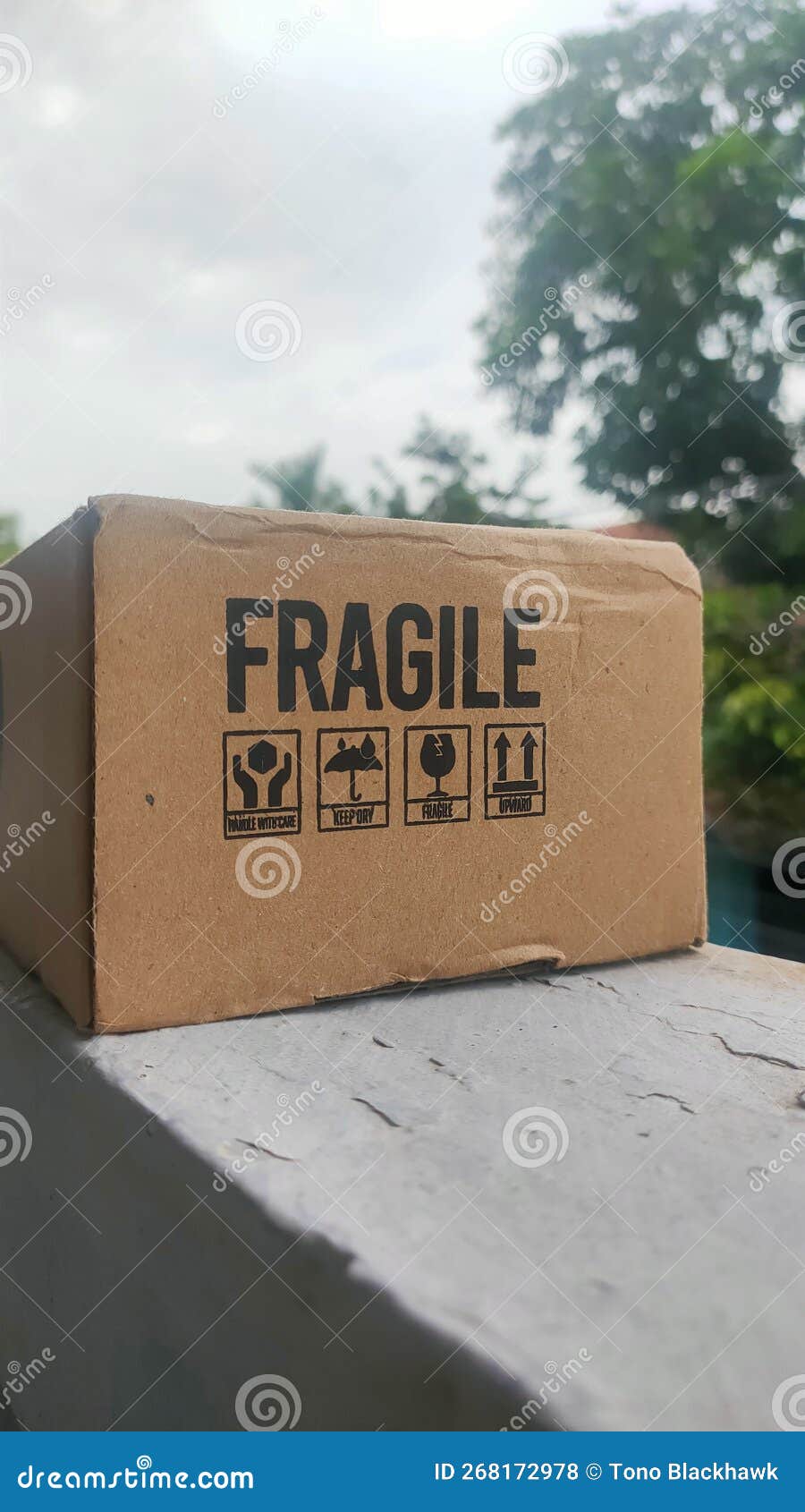 Safety Packing Boxes Keep the Shipment Safe until it Reaches Its ...