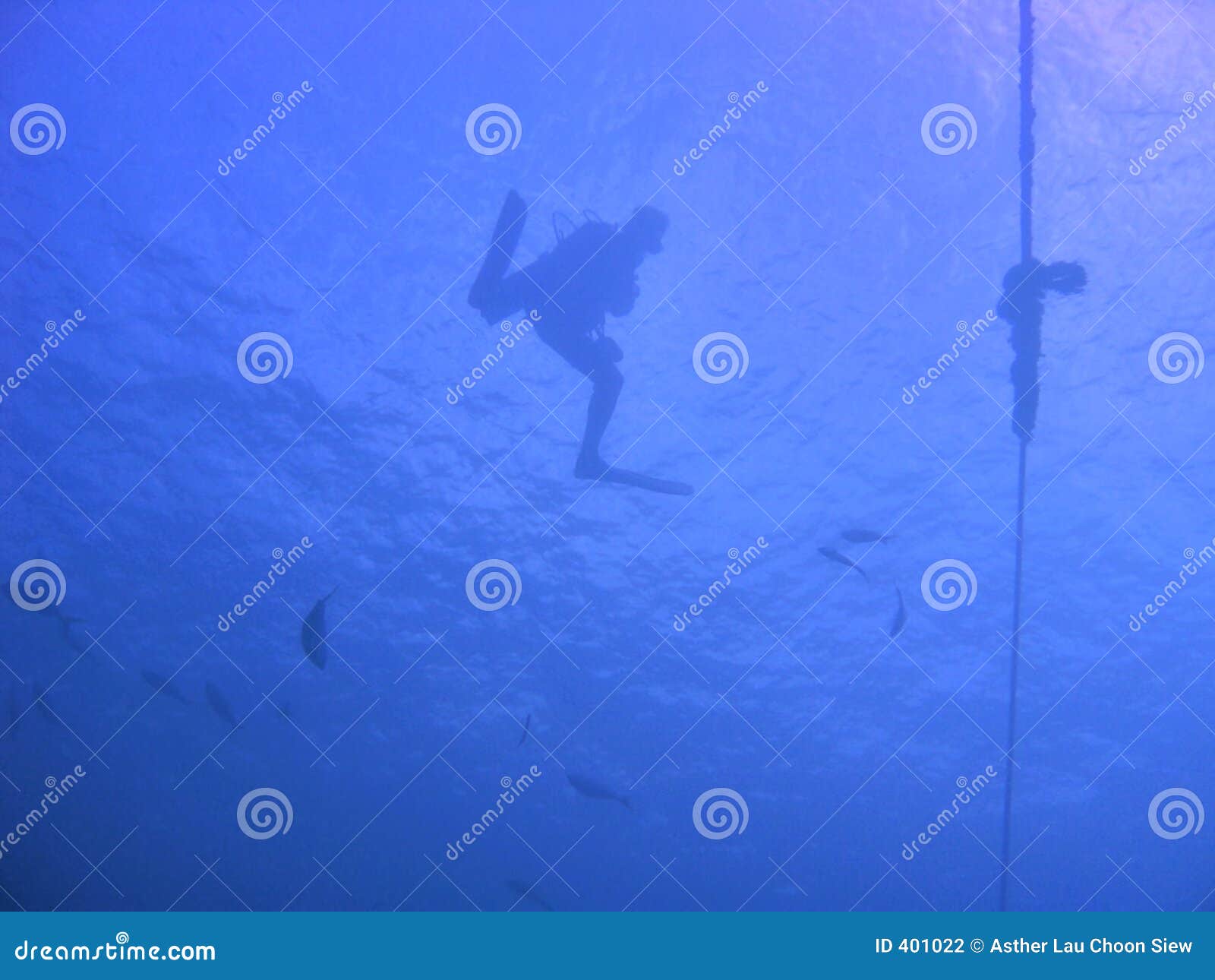 Safety-Stop stock photo. Image of scuba, diving, shadow - 401022