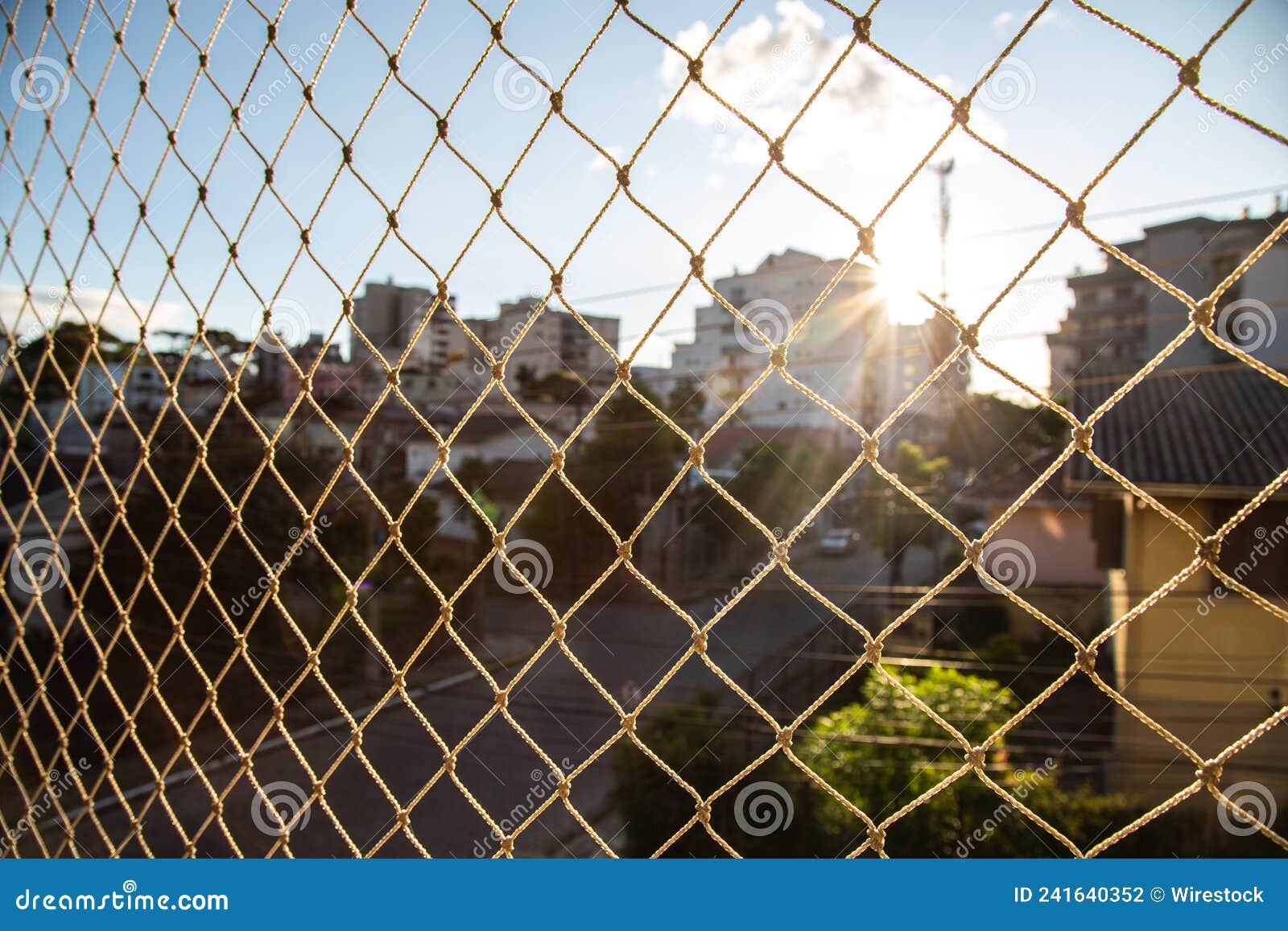 Window net protection stock photo. Image of home, pets - 241640352