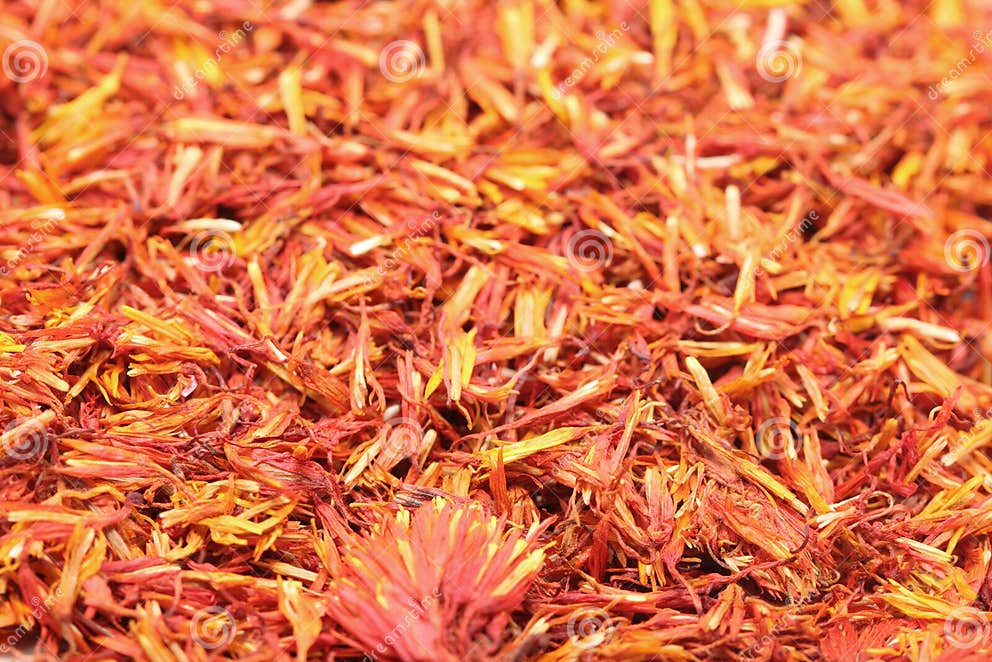 Saffloer stock afbeelding. Image of sinaasappel, rood - 9563511