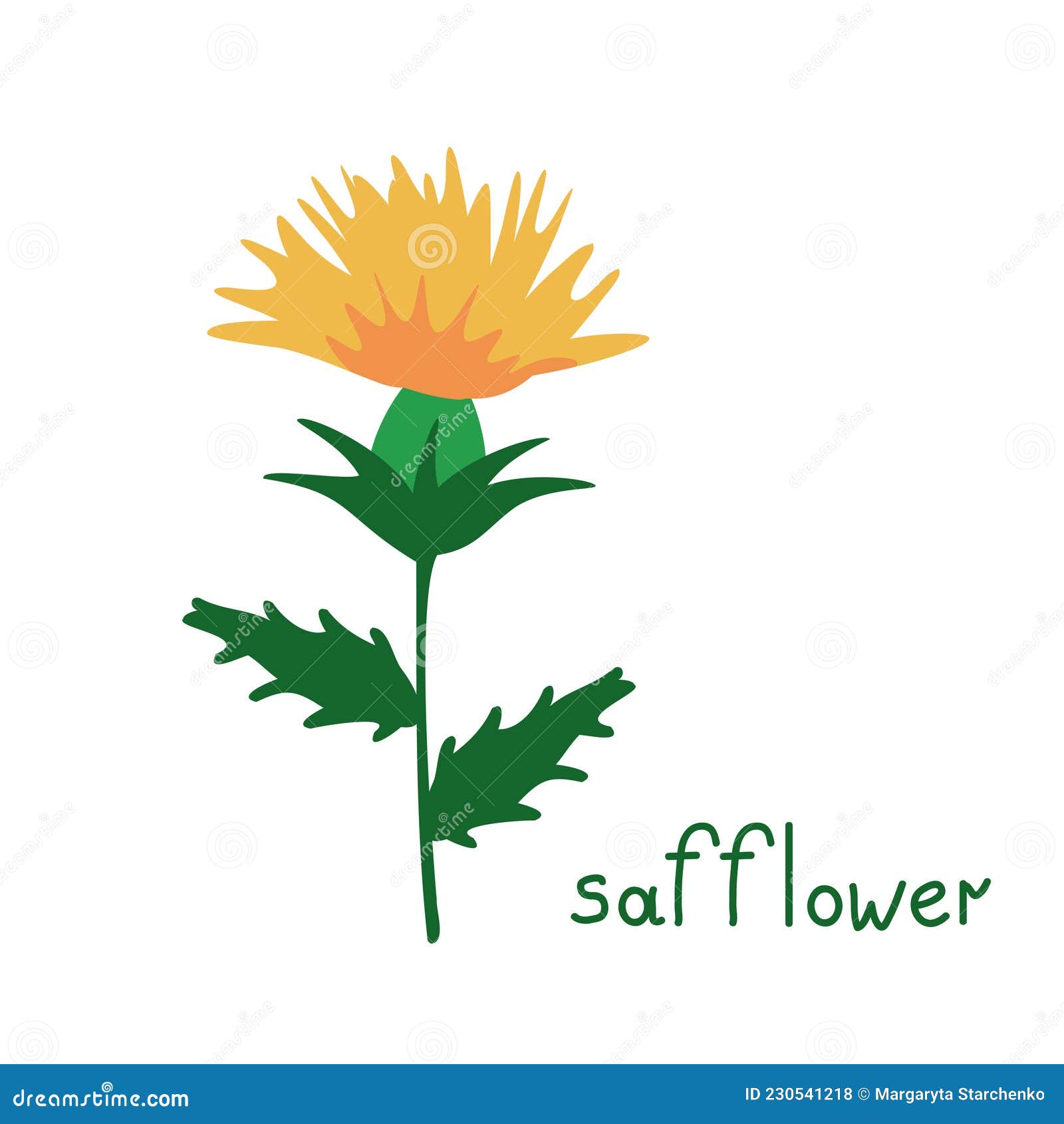 Safflower isolated plant stock vector. Illustration of environment ...