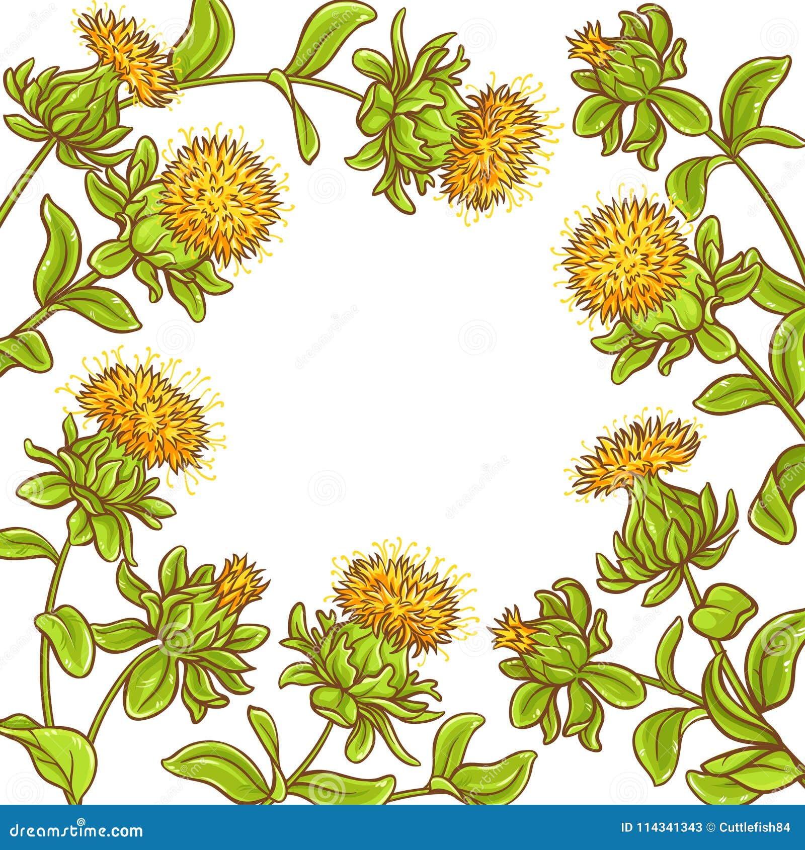 Safflower Plant Vector Frame Stock Vector - Illustration of fresh ...