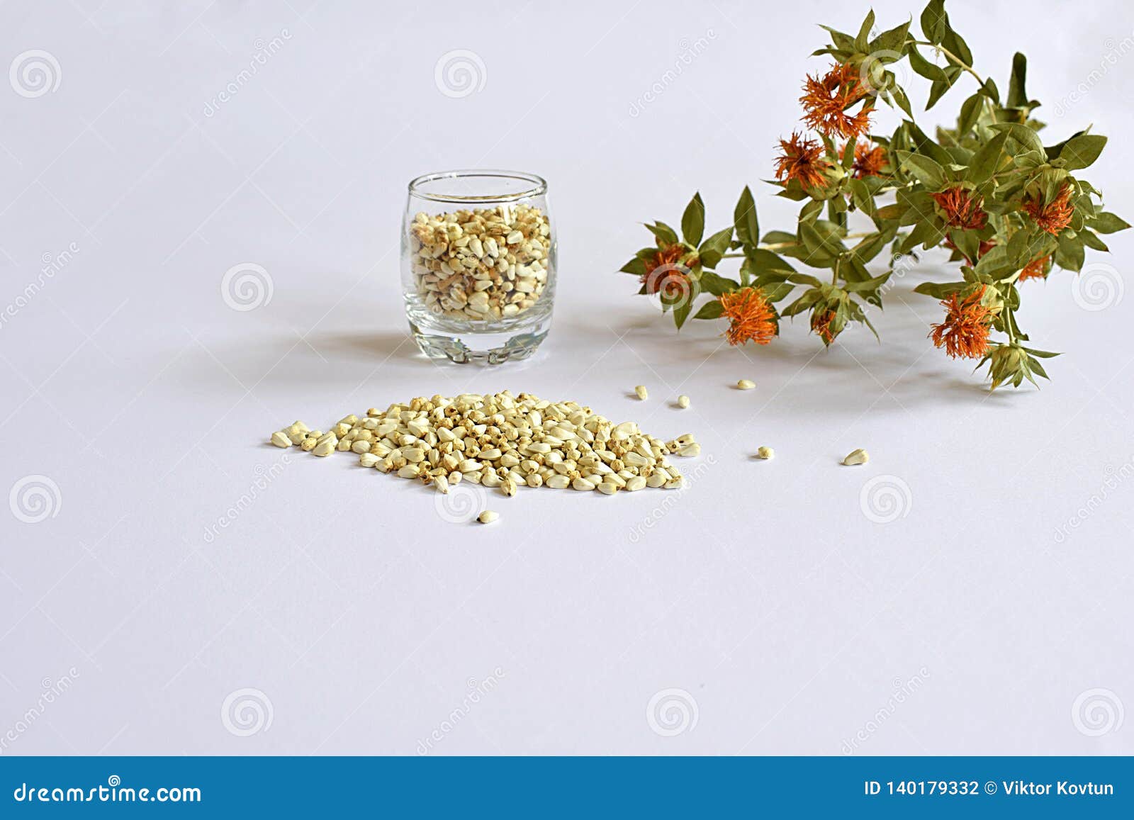 Safflower Seeds and Safflower Stem with Flowers Stock Photo - Image of ...
