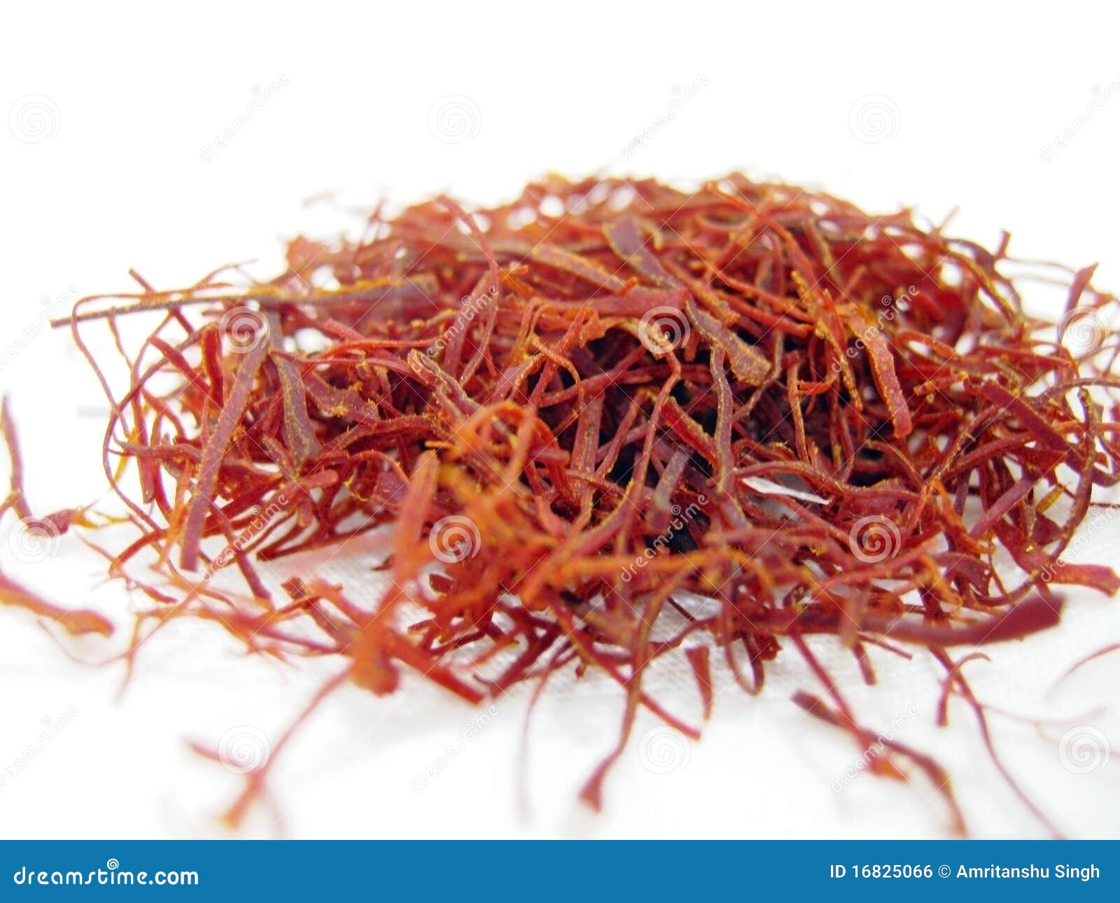Saffraan stock foto. Image of geïsoleerd, saffraan, geneeskunde - 16825066