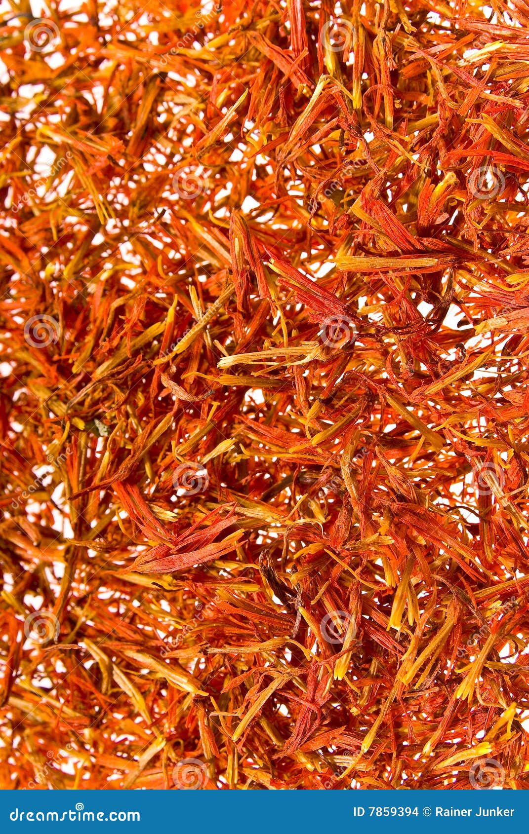 Saffron stock photo. Image of yellow, macro, blossom, tasty - 7859394