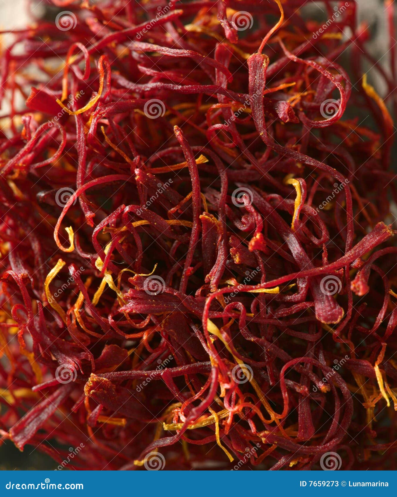 Saffron, Appreciated Red Spice in Vivid Red Orange Stock Image - Image ...