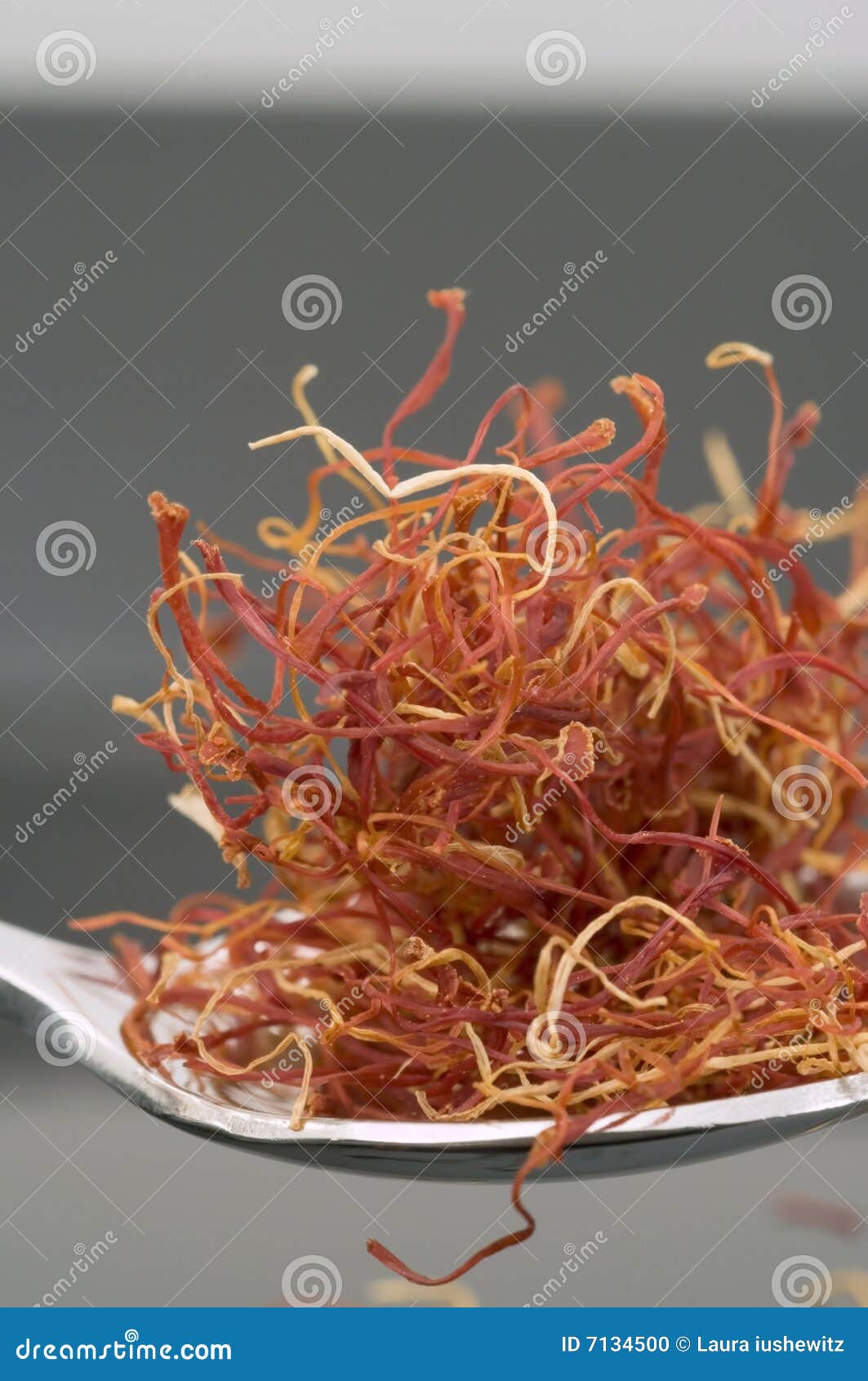 Saffron close-up stock photo. Image of chef, diversity - 7134500