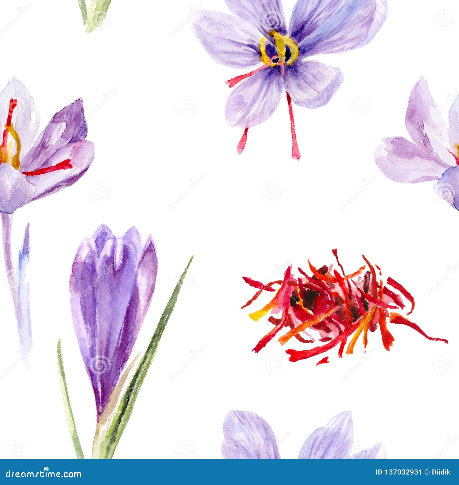 Saffron Crocus Flower Crocus Sativus. Hand Draw Sketch Cartoon Vector ...