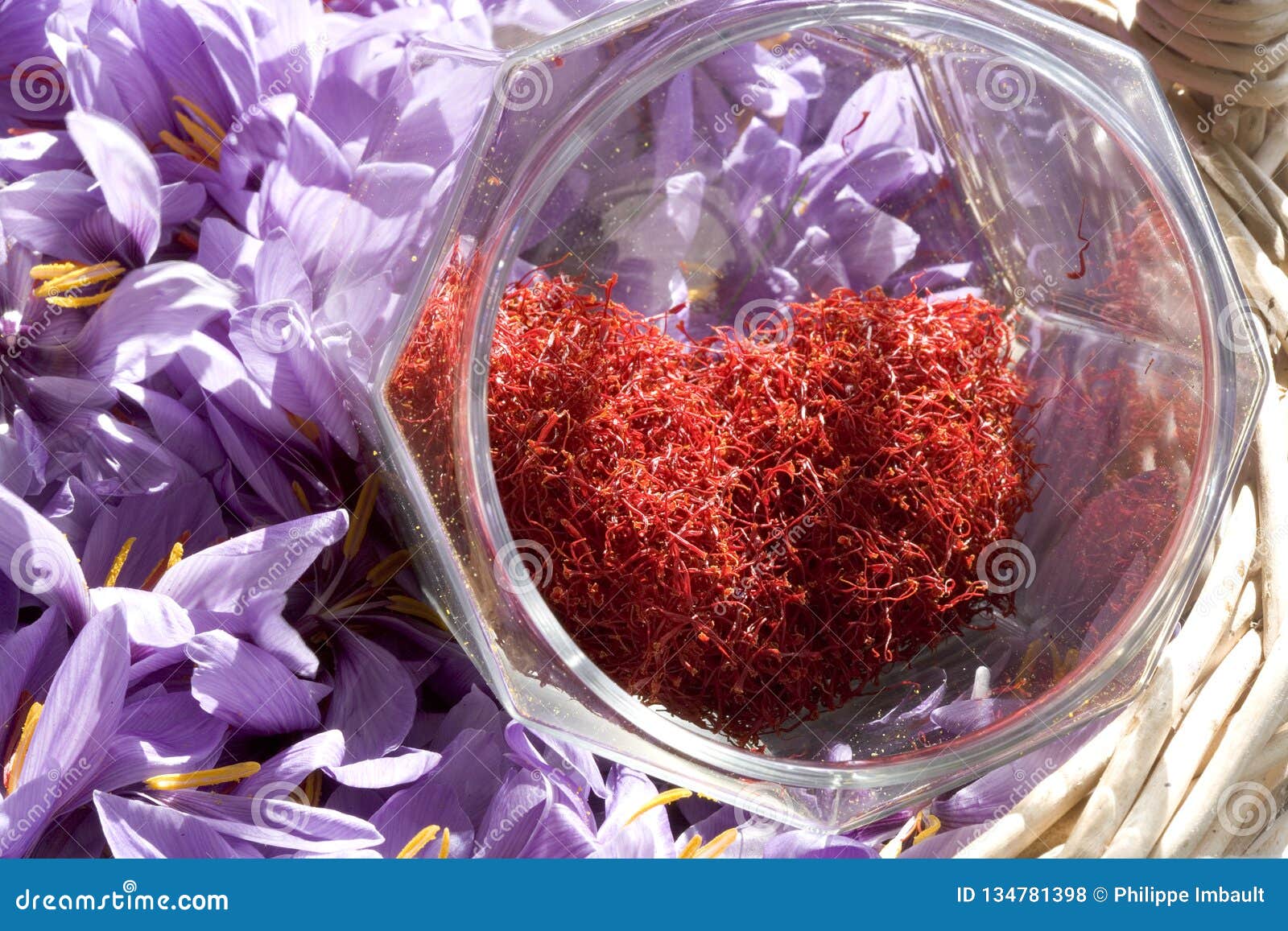 Saffron stock photo. Image of containers, plants, percentage - 134781398