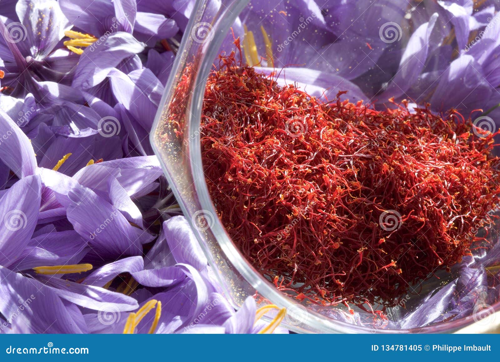 Saffron stock image. Image of crocus, closed, product - 134781405
