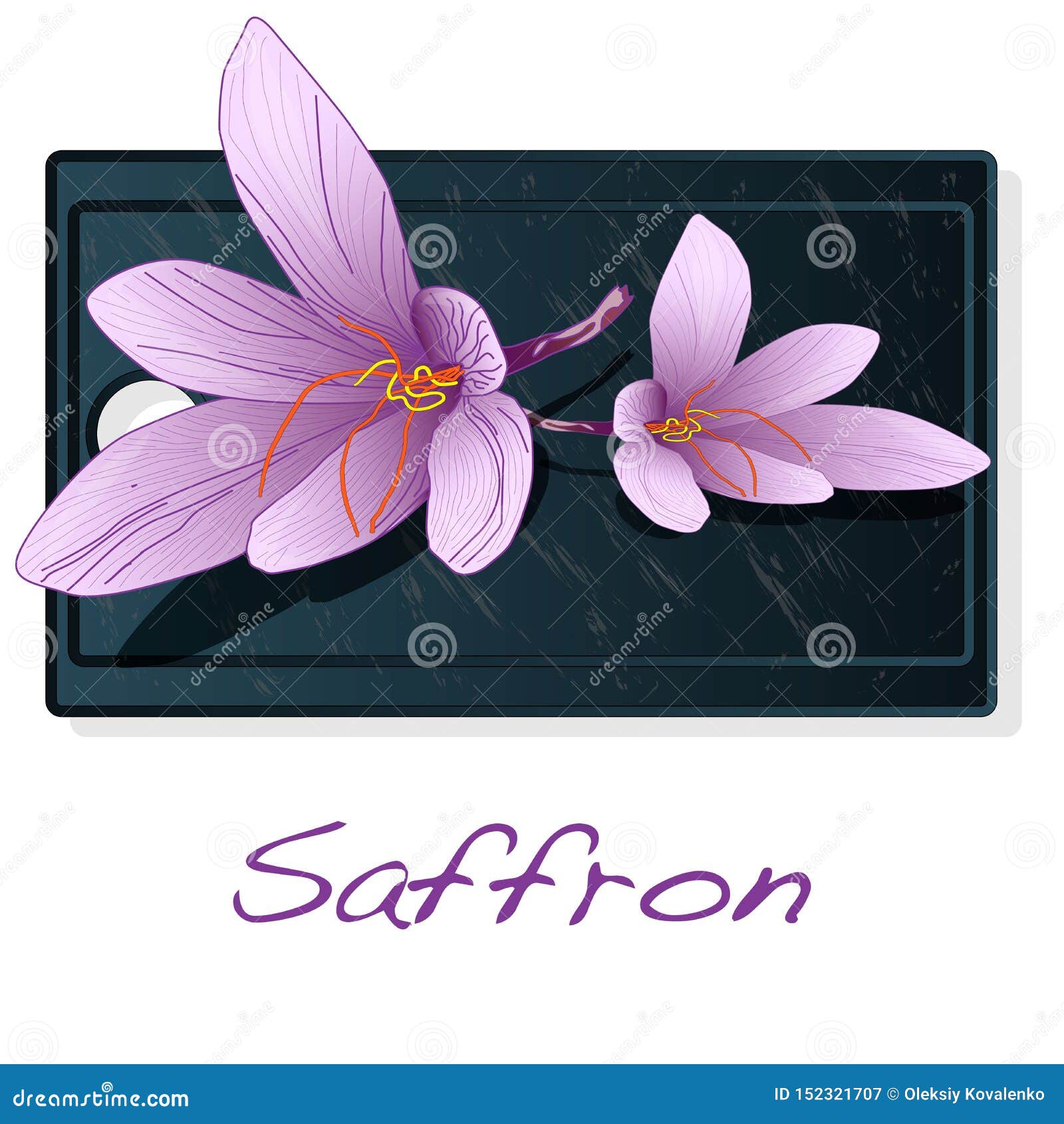 Saffron Flower on the Dish Illustration Set. Vector Isolated Stock ...