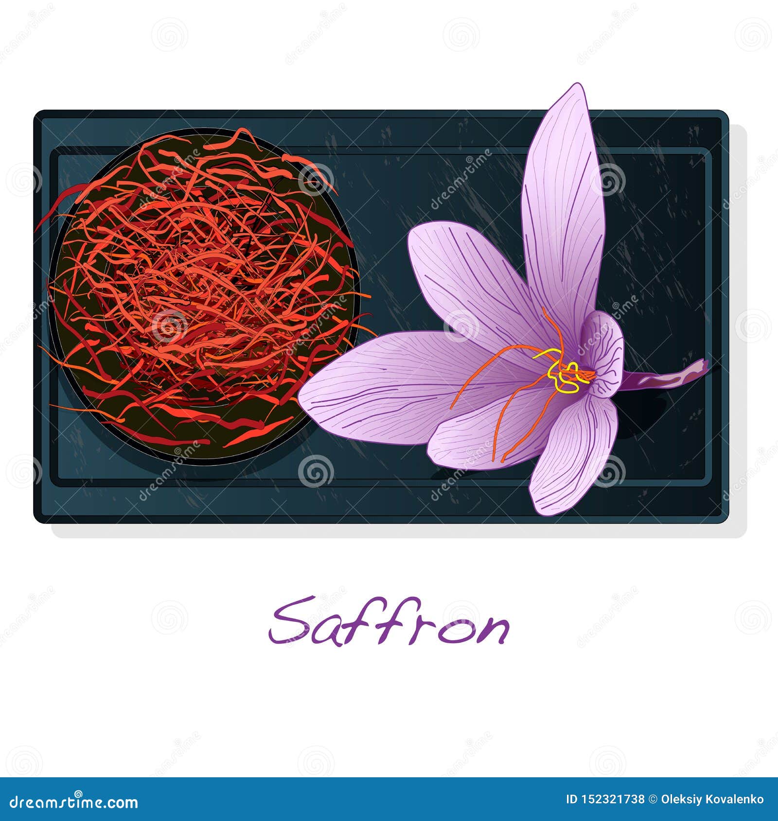 Saffron Flower on the Dish Illustration Set. Vector Isolated Stock ...