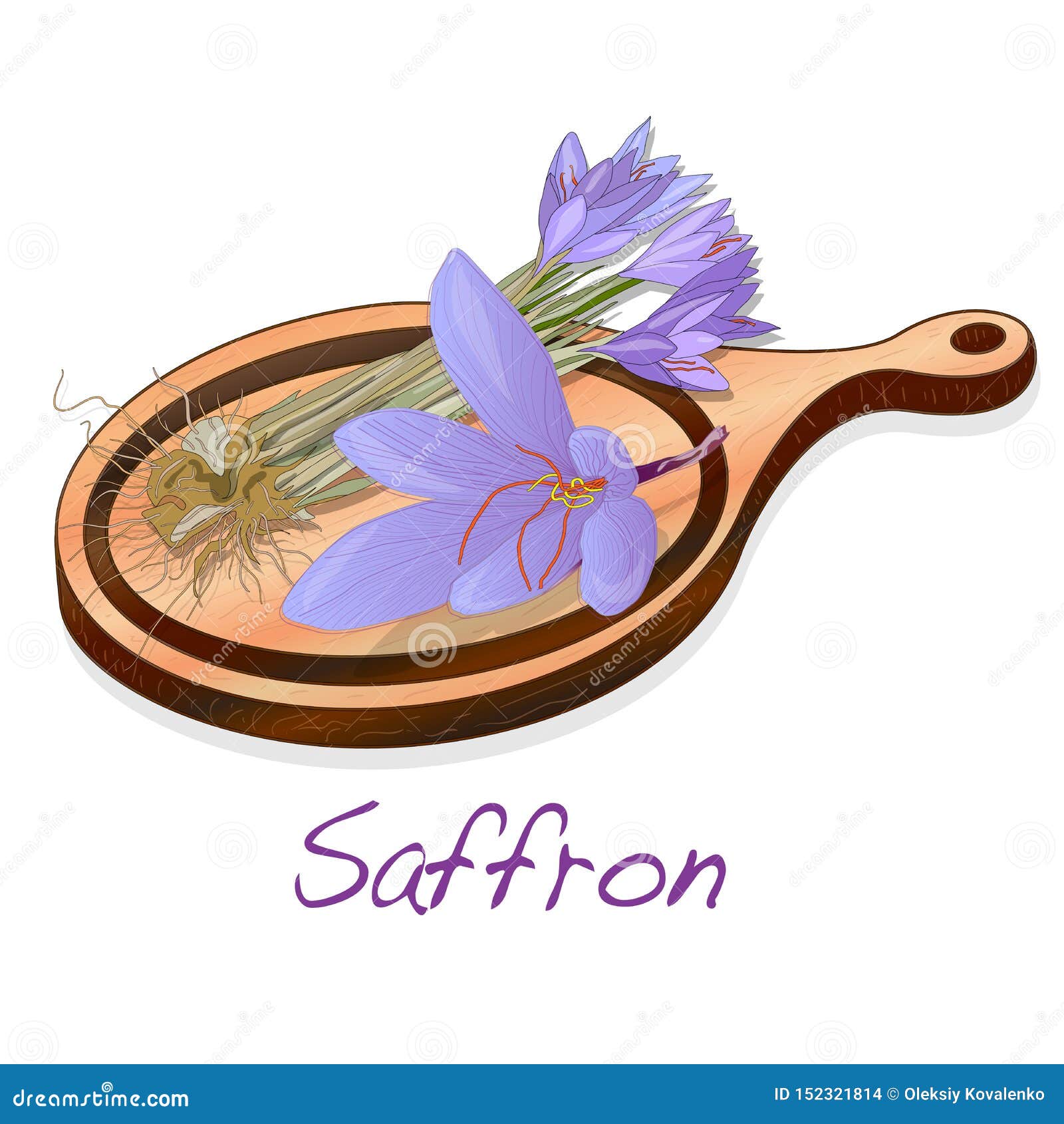 Saffron Flower on the Dish Illustration Set. Vector Isolated Stock ...