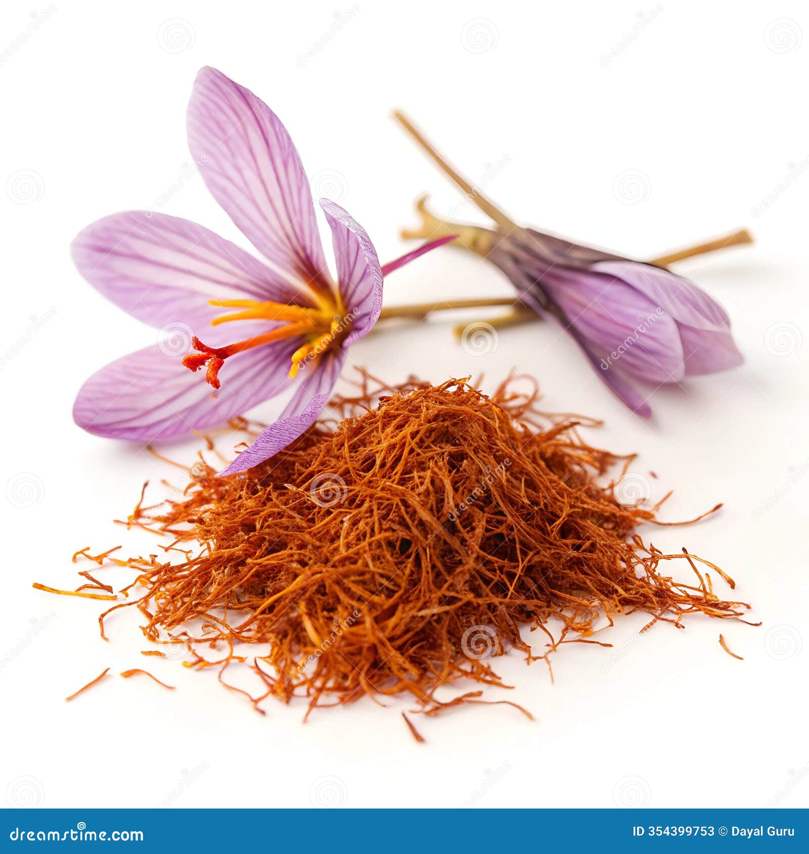 Saffron with Flower Isolated on White Background Stock Illustration ...