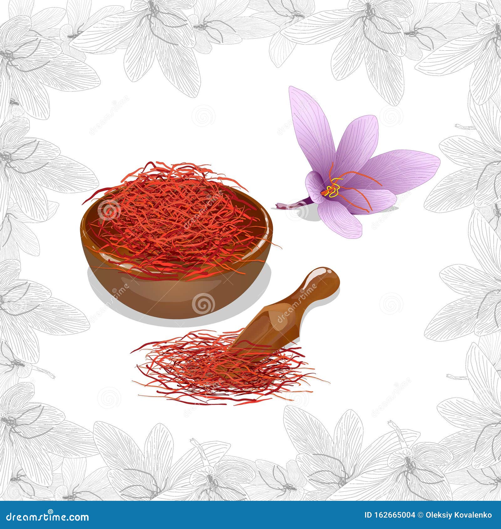 Saffron Flower Set in Decorative Frame. Vector Isolated Image Stock ...