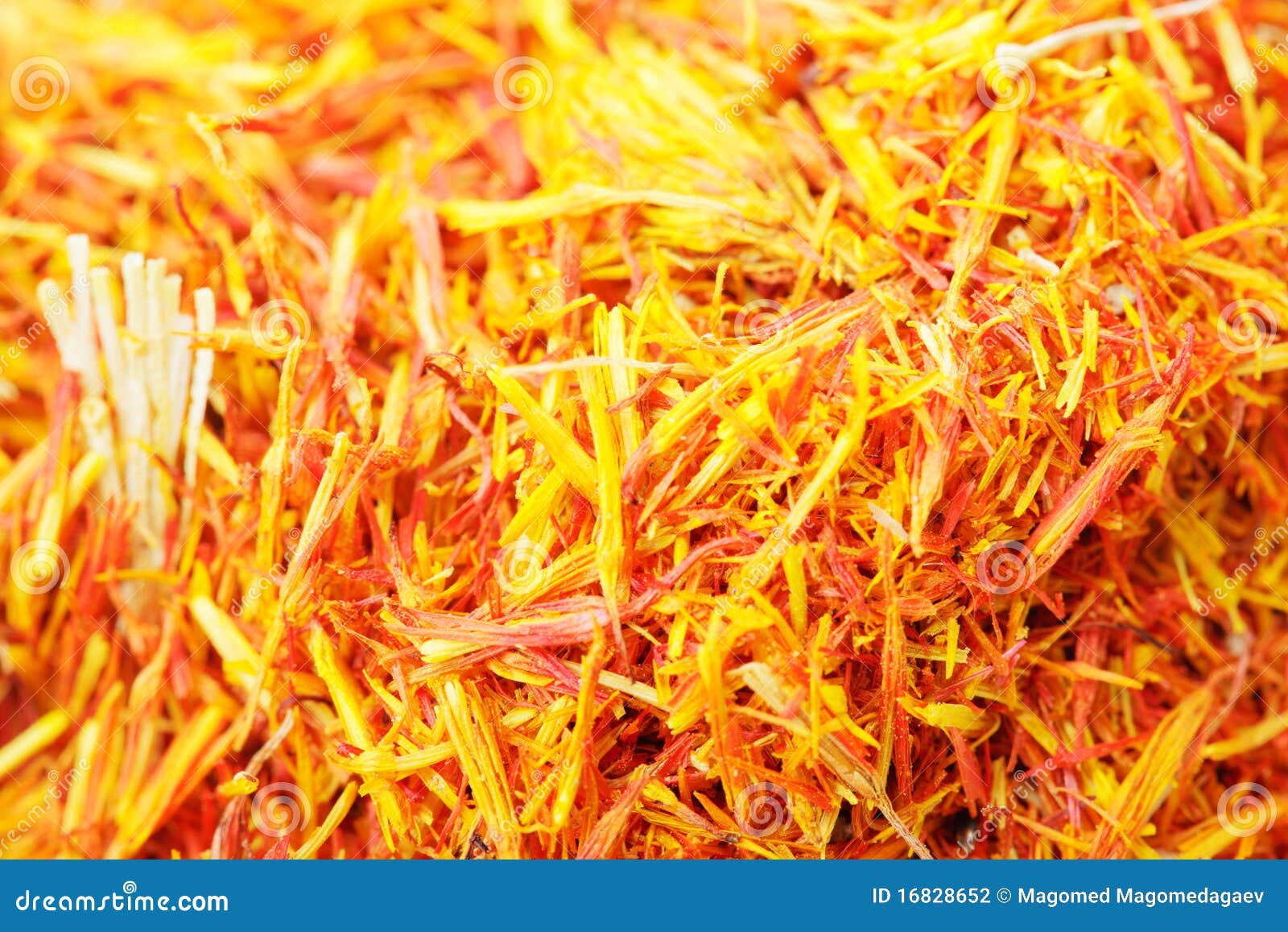 Saffron Leaves Spice Background Stock Photo - Image of leaves ...