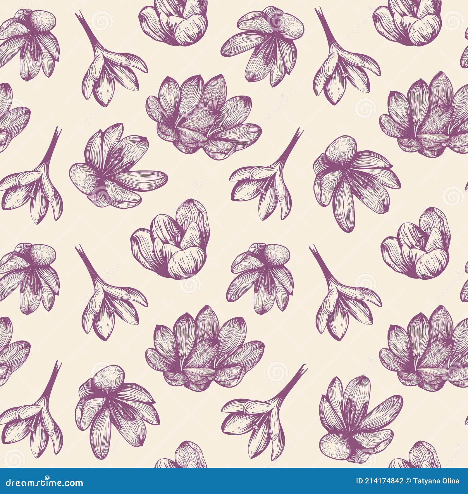 Saffron Pattern Sketch. Crocus Flower Pattern Stock Vector ...
