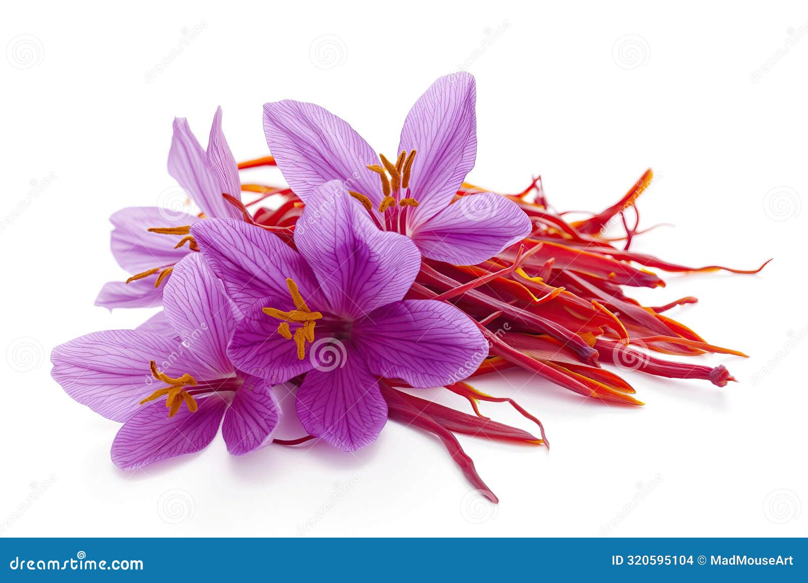 Saffron Spice Isolated on White Background. Macro Studio Shot Stock ...