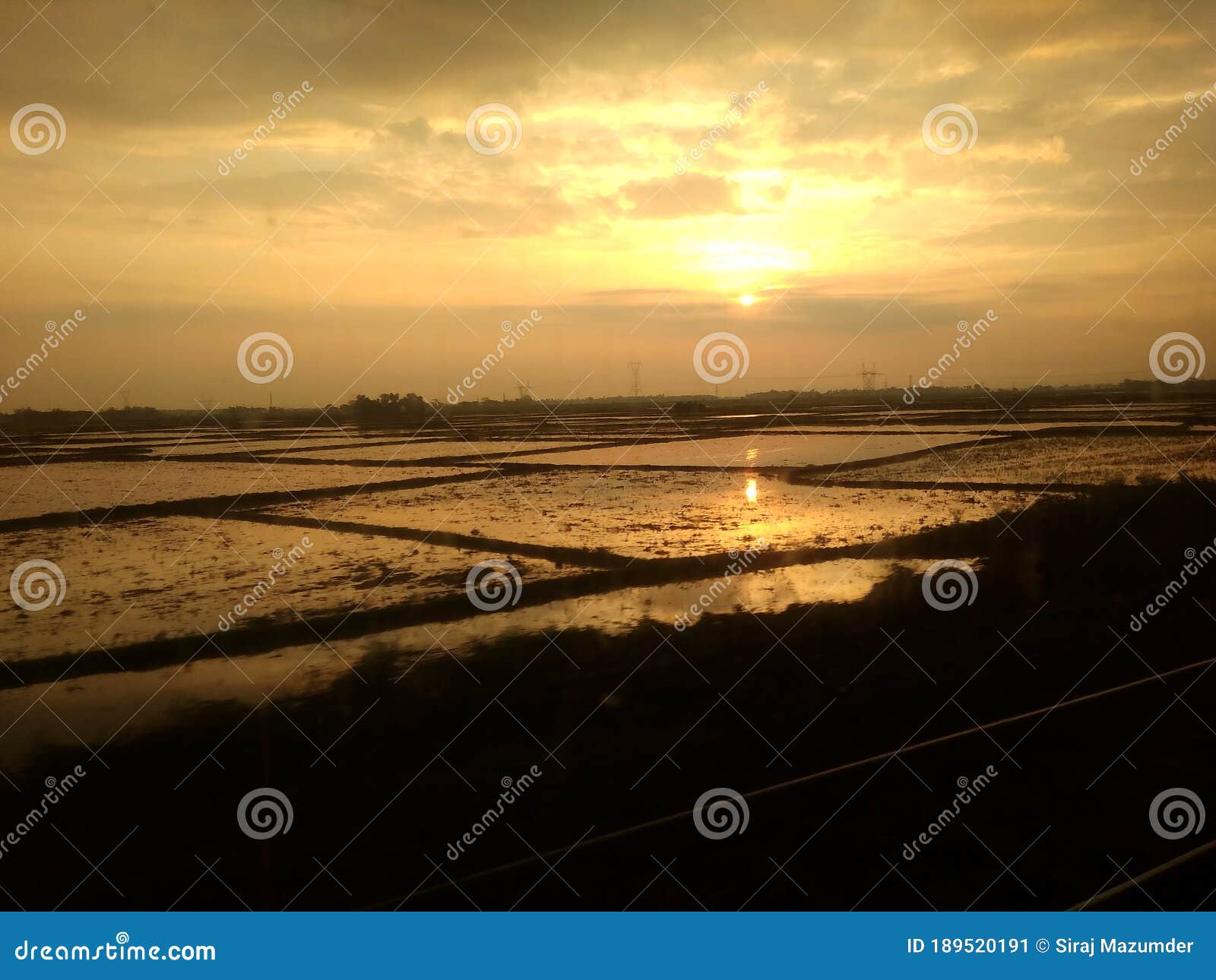 Saffronsky stock image. Image of nature, saffron, rural - 189520191