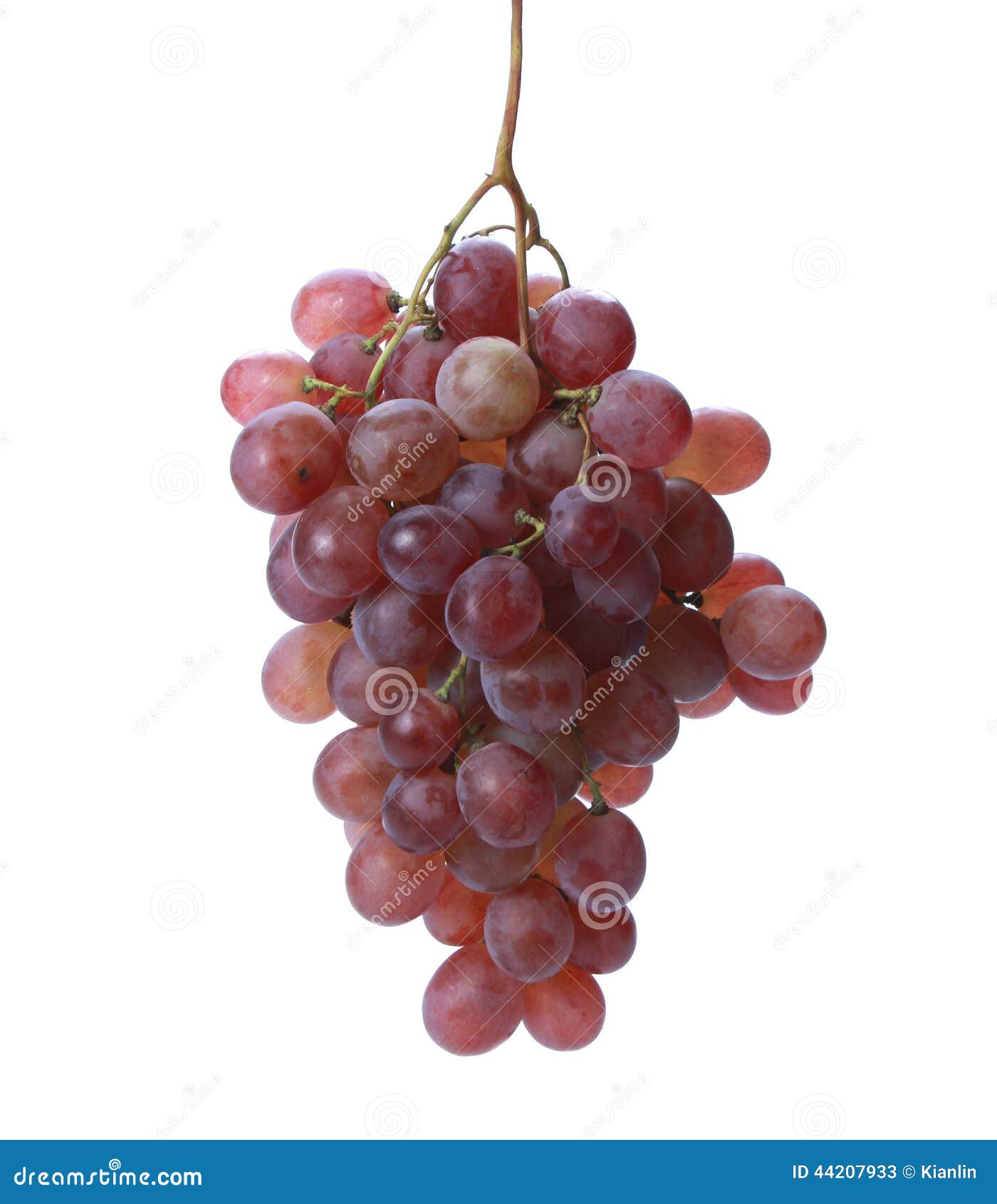 Saftig röd druva 2 fotografering för bildbyråer. Bild av vinbär - 44207933
