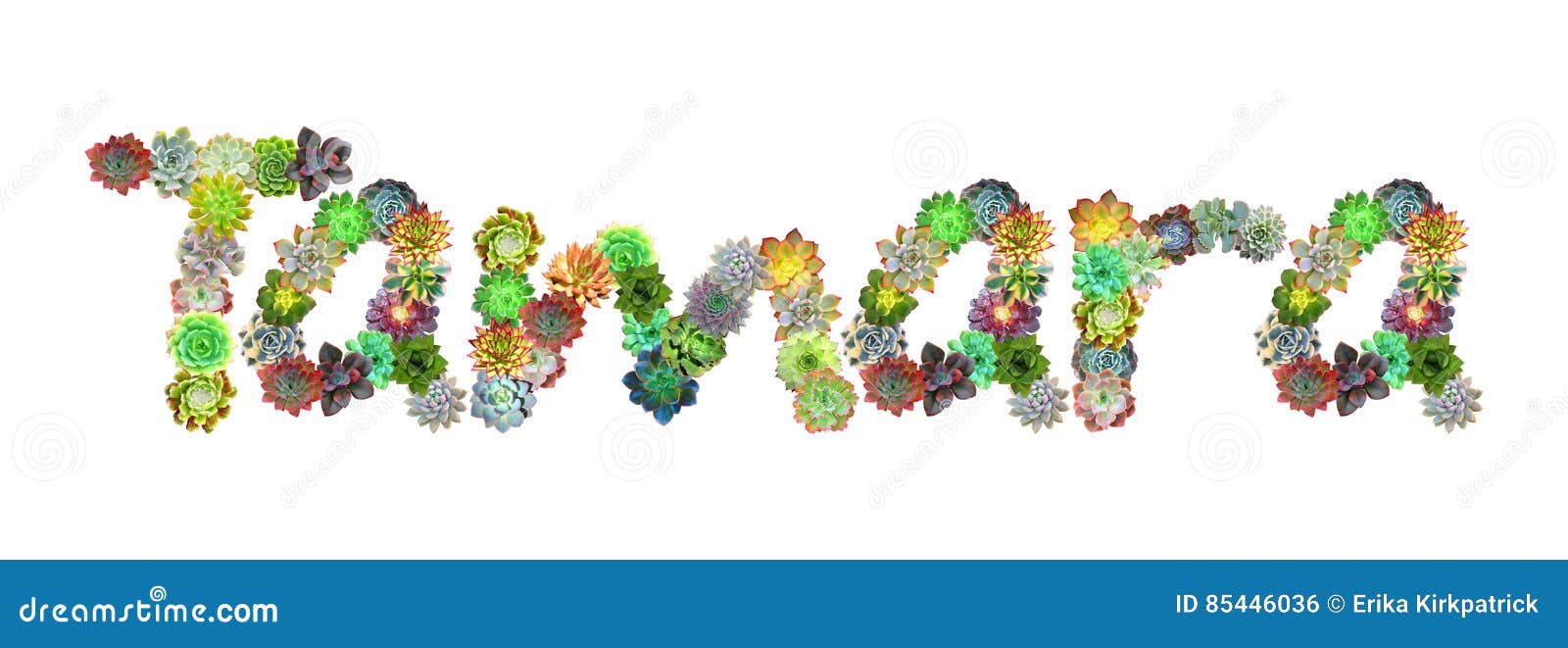 Saftiger Name Tamara stock abbildung. Illustration von schön - 85446036