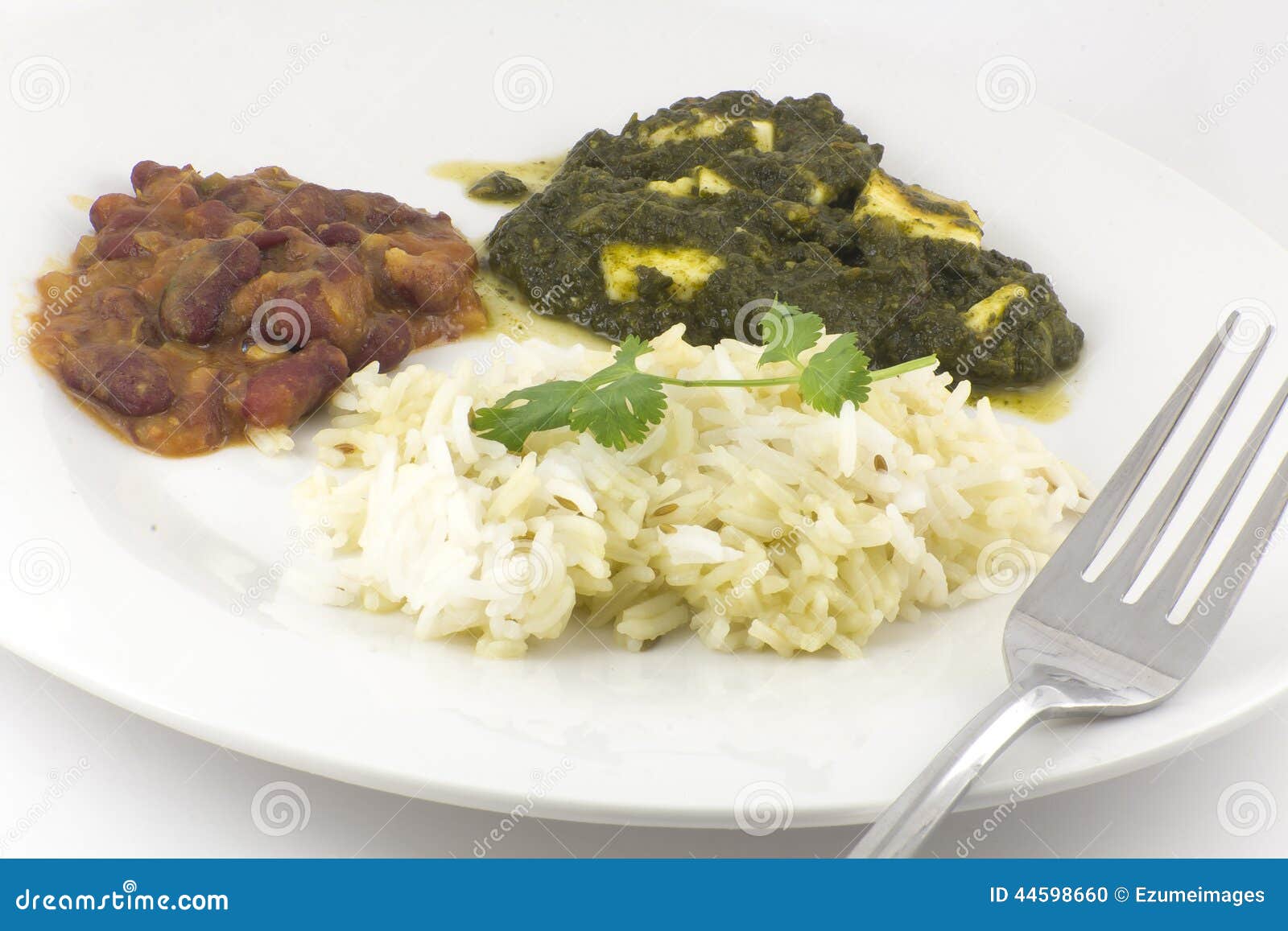 Sag Paneer - Authentic Indian Food Stock Photo - Image of curry, cubes ...