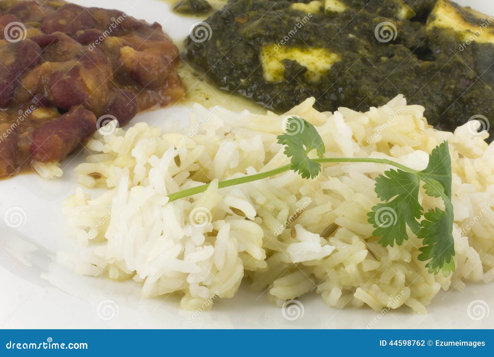 Sag Paneer - Authentic Indian Food Stock Photo - Image of fork, diet ...