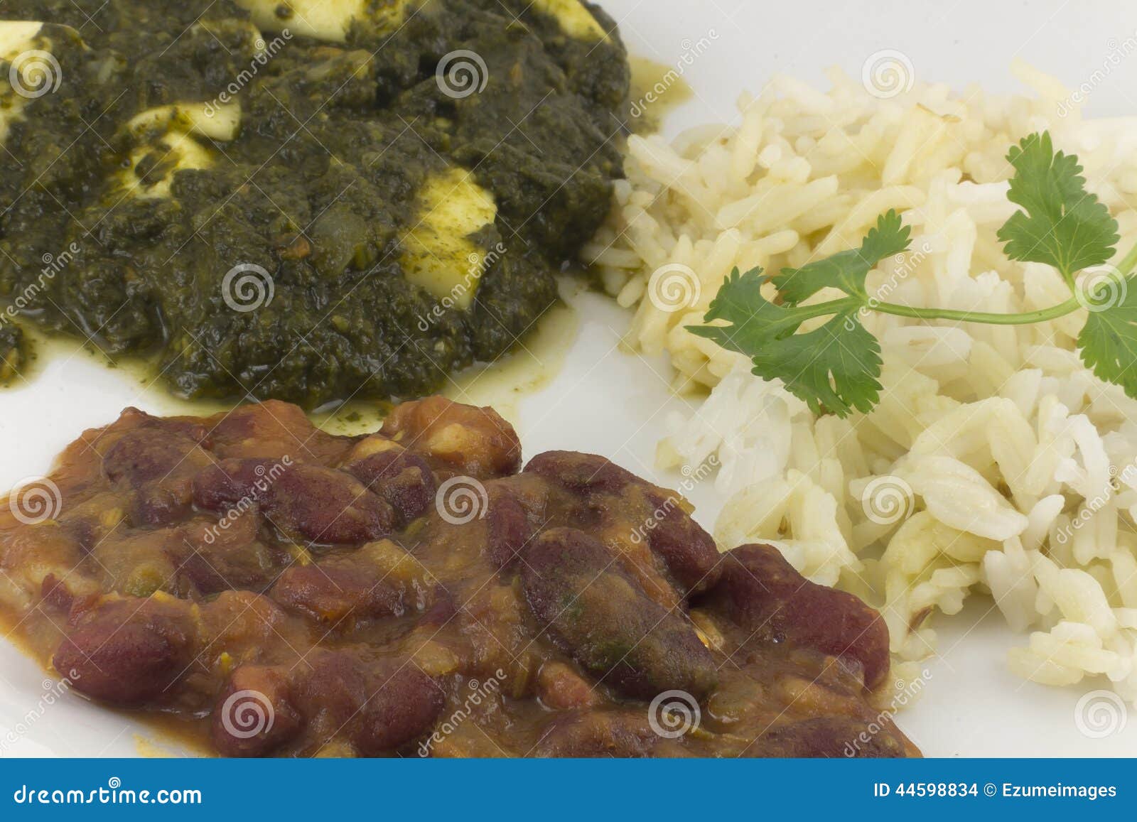 Sag Paneer - Authentic Indian Food Stock Photo - Image of bowl ...