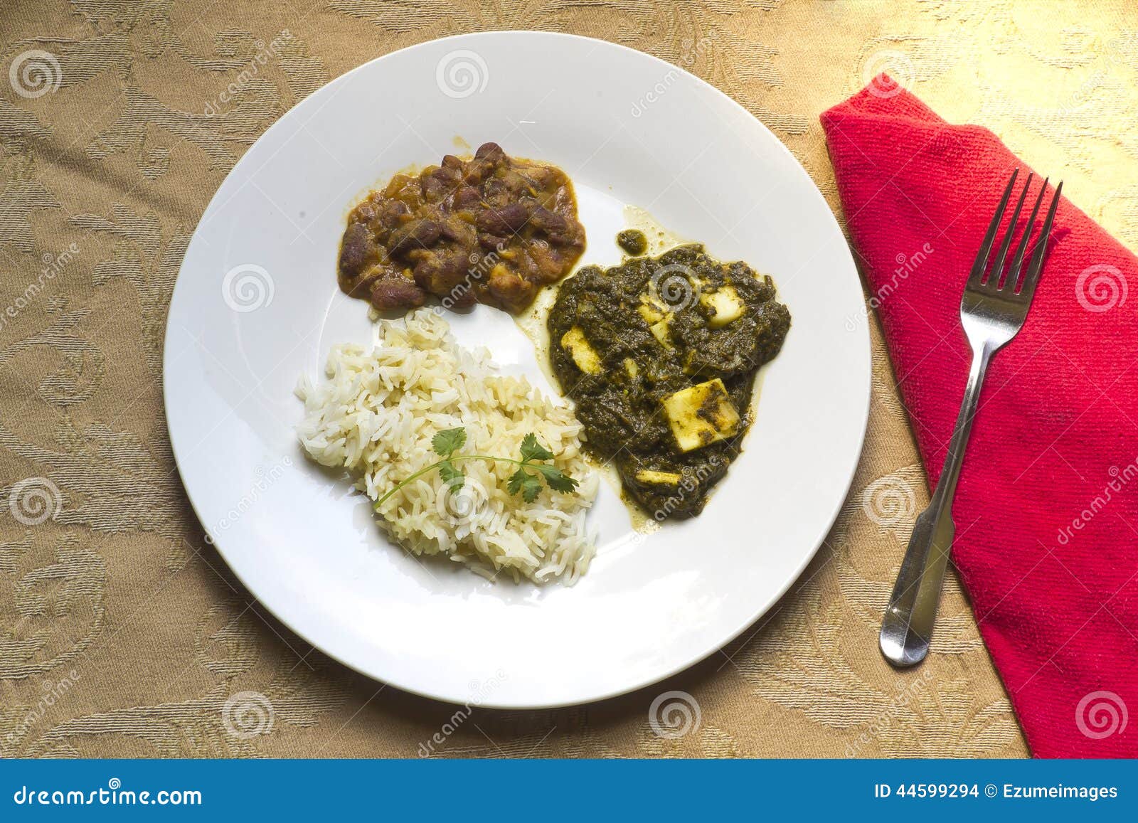 Sag Paneer - Authentic Indian Food Stock Photo - Image of curry, india ...