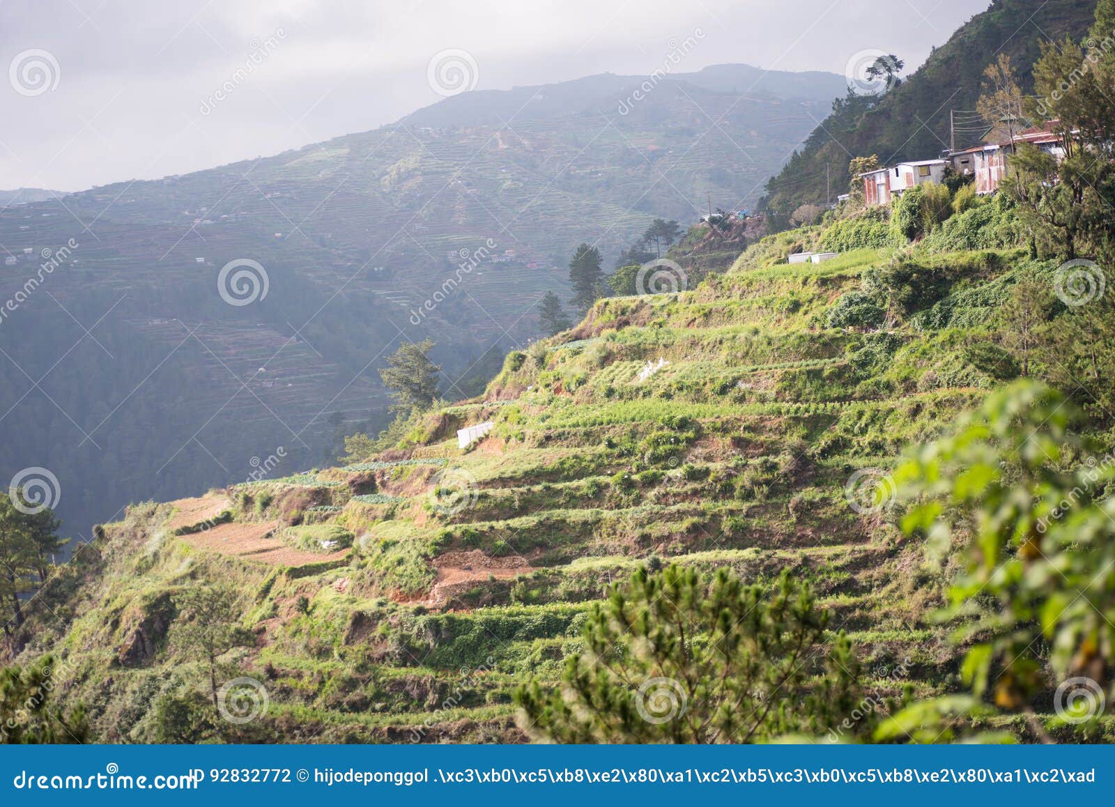 Mountain Province, Philippines: Majestic Agricultural Landscape Of The ...