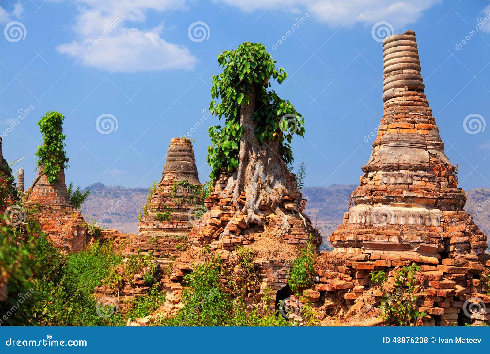 Sagar, lago Inle, Myanmar foto de archivo. Imagen de naturalizado ...