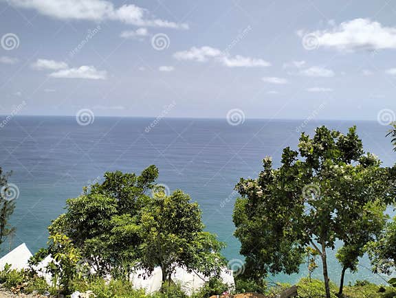 Sagara View of Sea stock image. Image of landscape, tree - 310832597