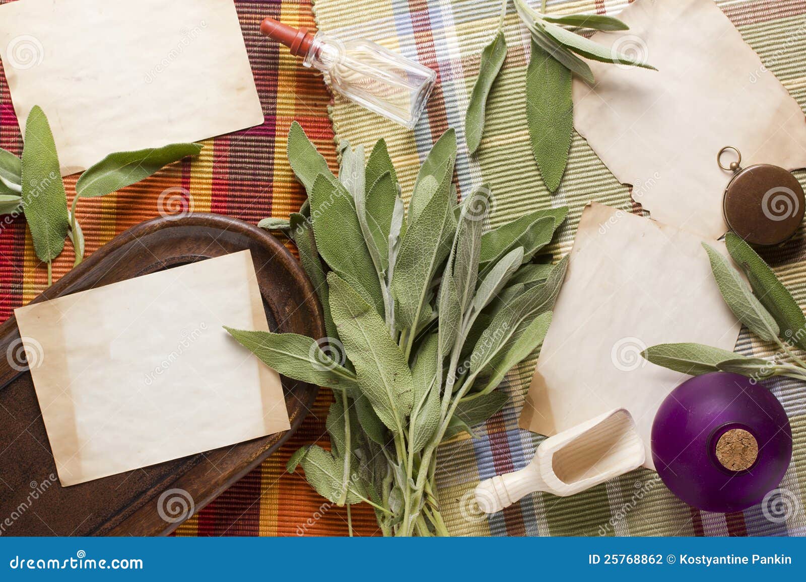 Sage Background stock photo. Image of medicine, leaf - 25768862