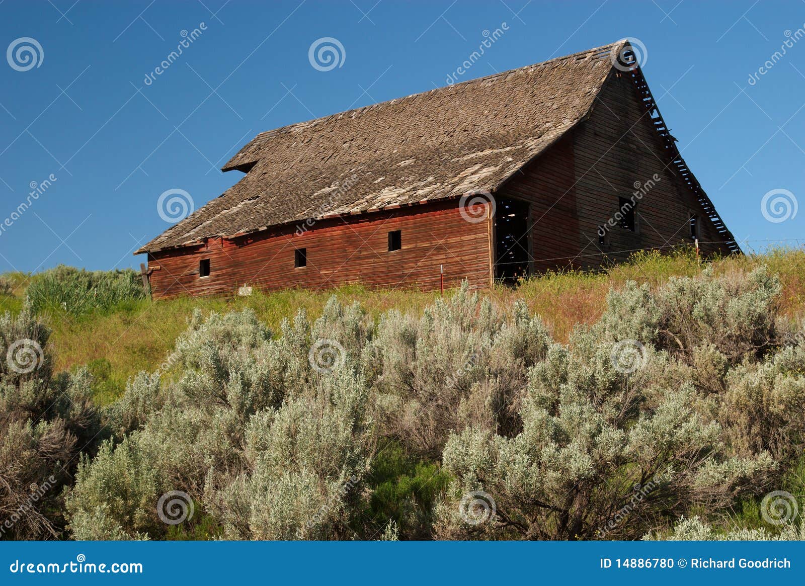 Sage and Barn stock photo. Image of blue, barn, farm - 14886780