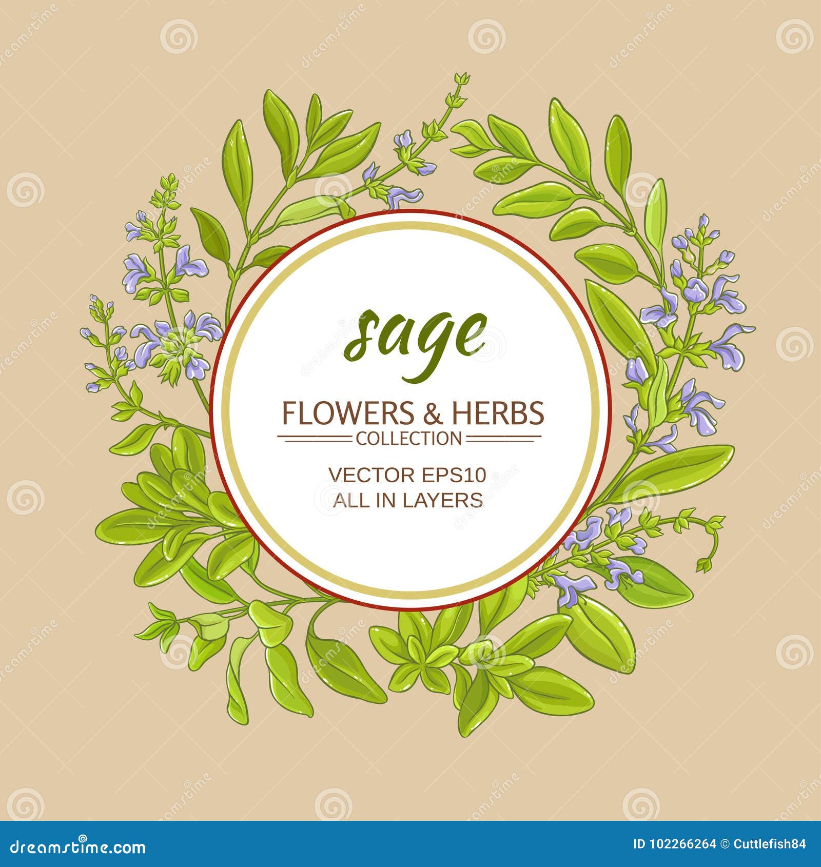 Sage vector frame stock vector. Illustration of green - 102266264