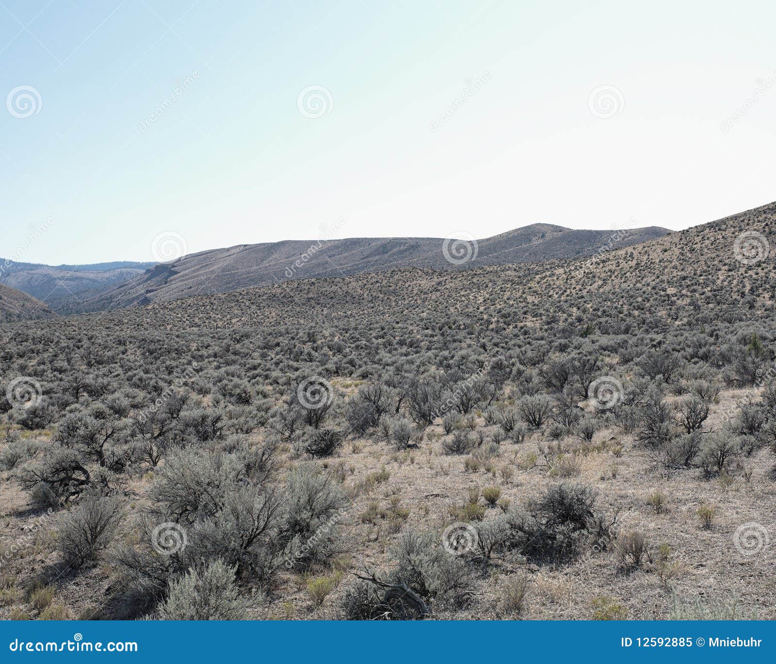 Sage Brush in a Valley of High Desert Landscape Stock Image - Image of ...