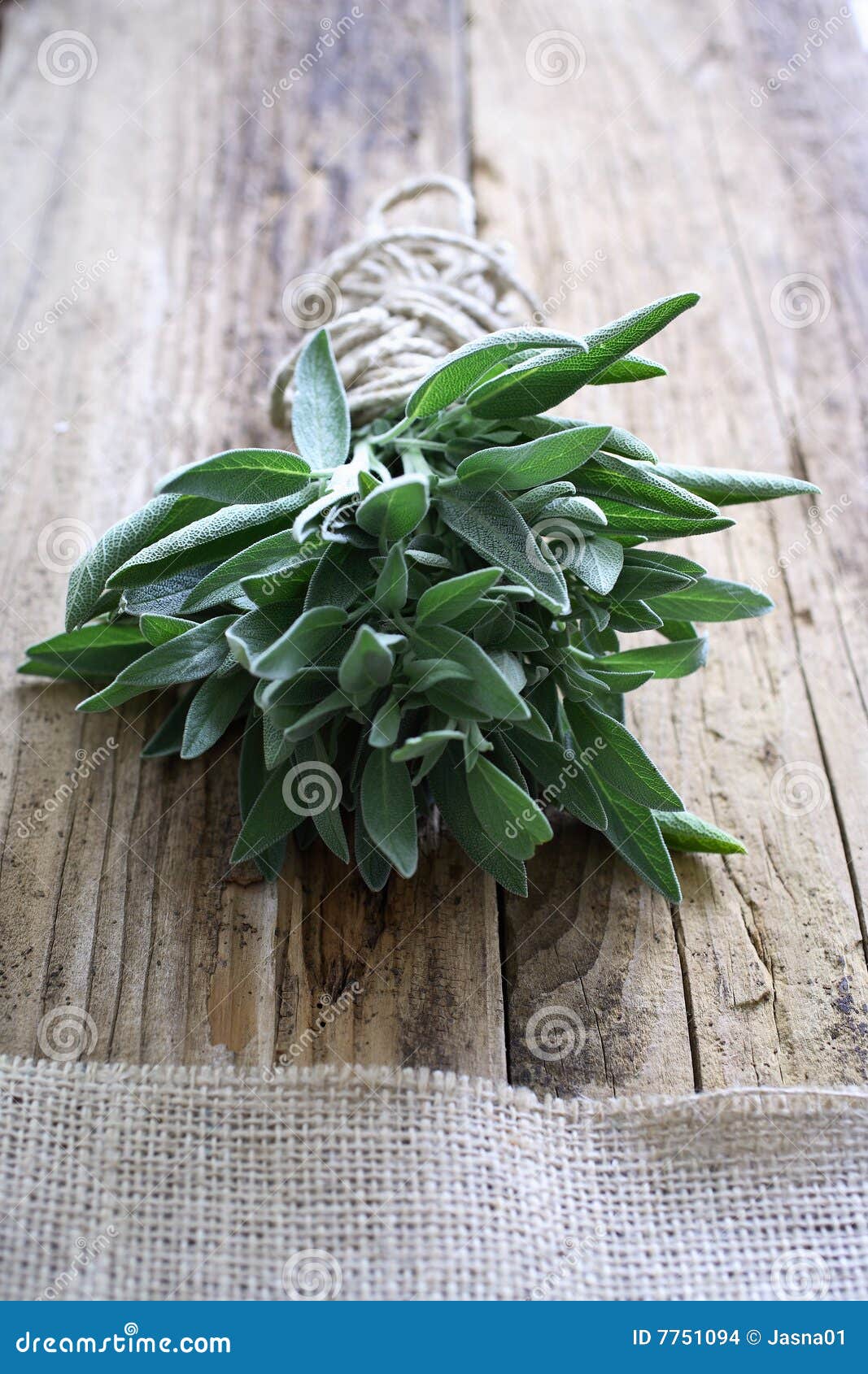 Sage bundle stock photo. Image of table, plant, decoration - 7751094