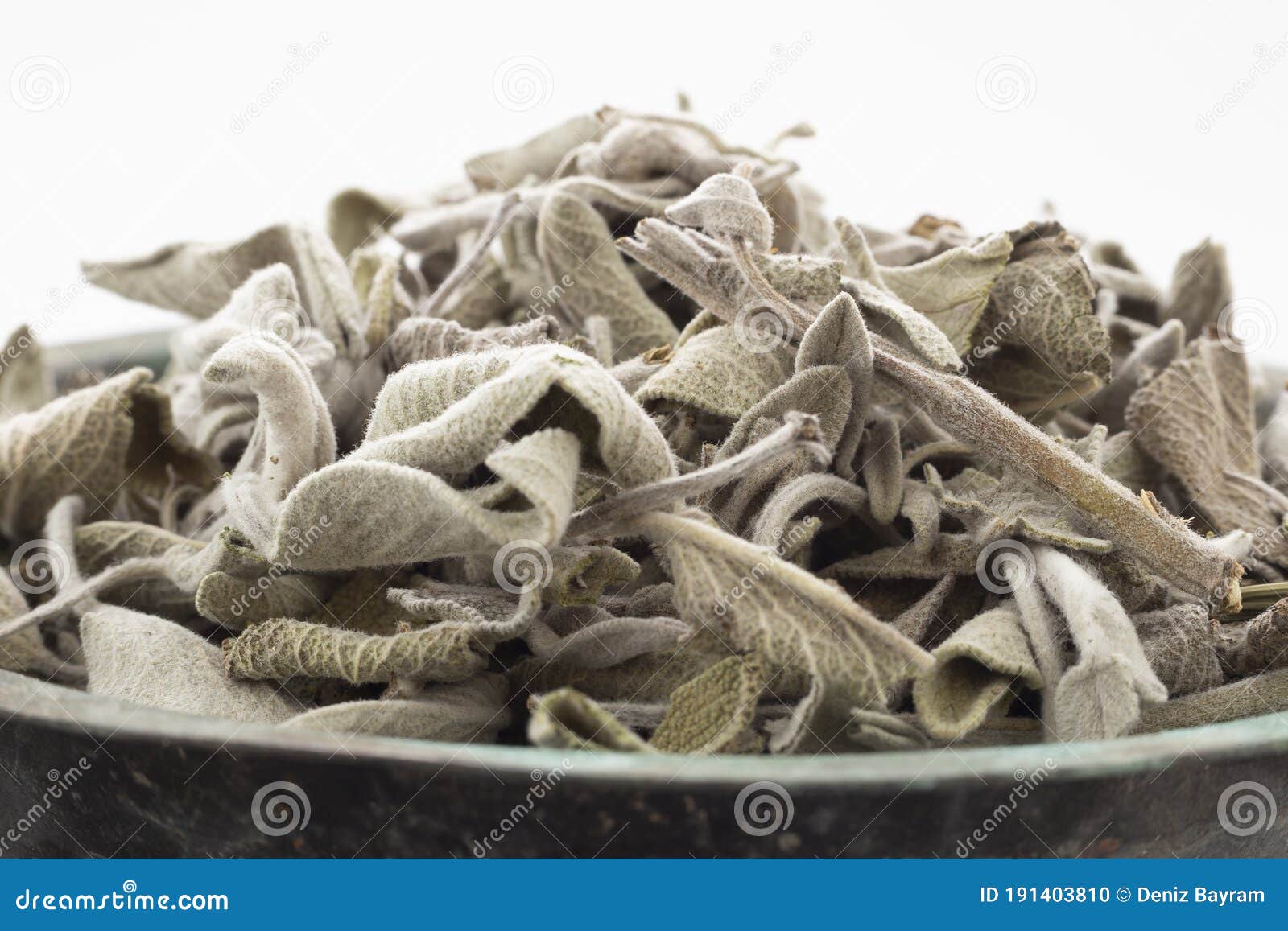 Sage dried on white ground stock photo. Image of gourmet - 191403810