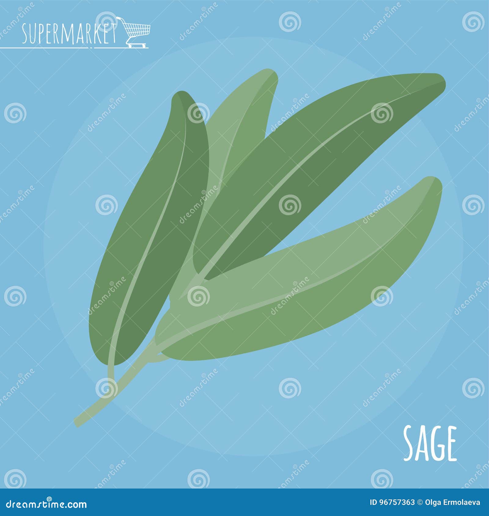 Sage Flat Design Vector Icon. Stock Vector - Illustration of herbal ...