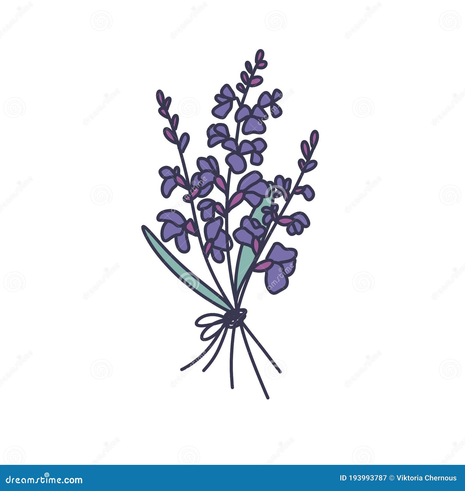 Sage Flower Wreath. Round Floral Frame. Vector Clipart And Design For ...