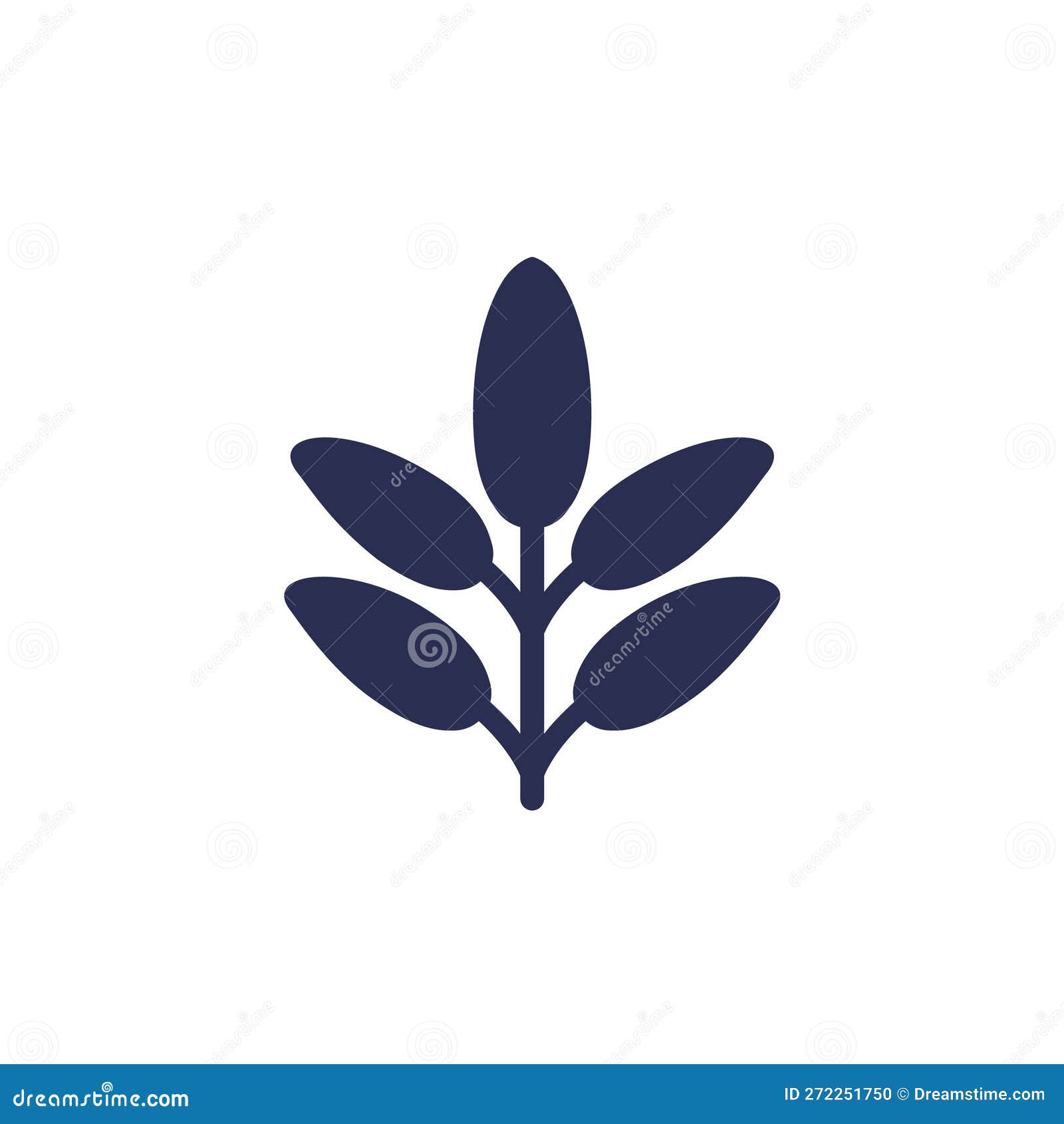 Sage icon on white, vector stock vector. Illustration of leaf - 272251750