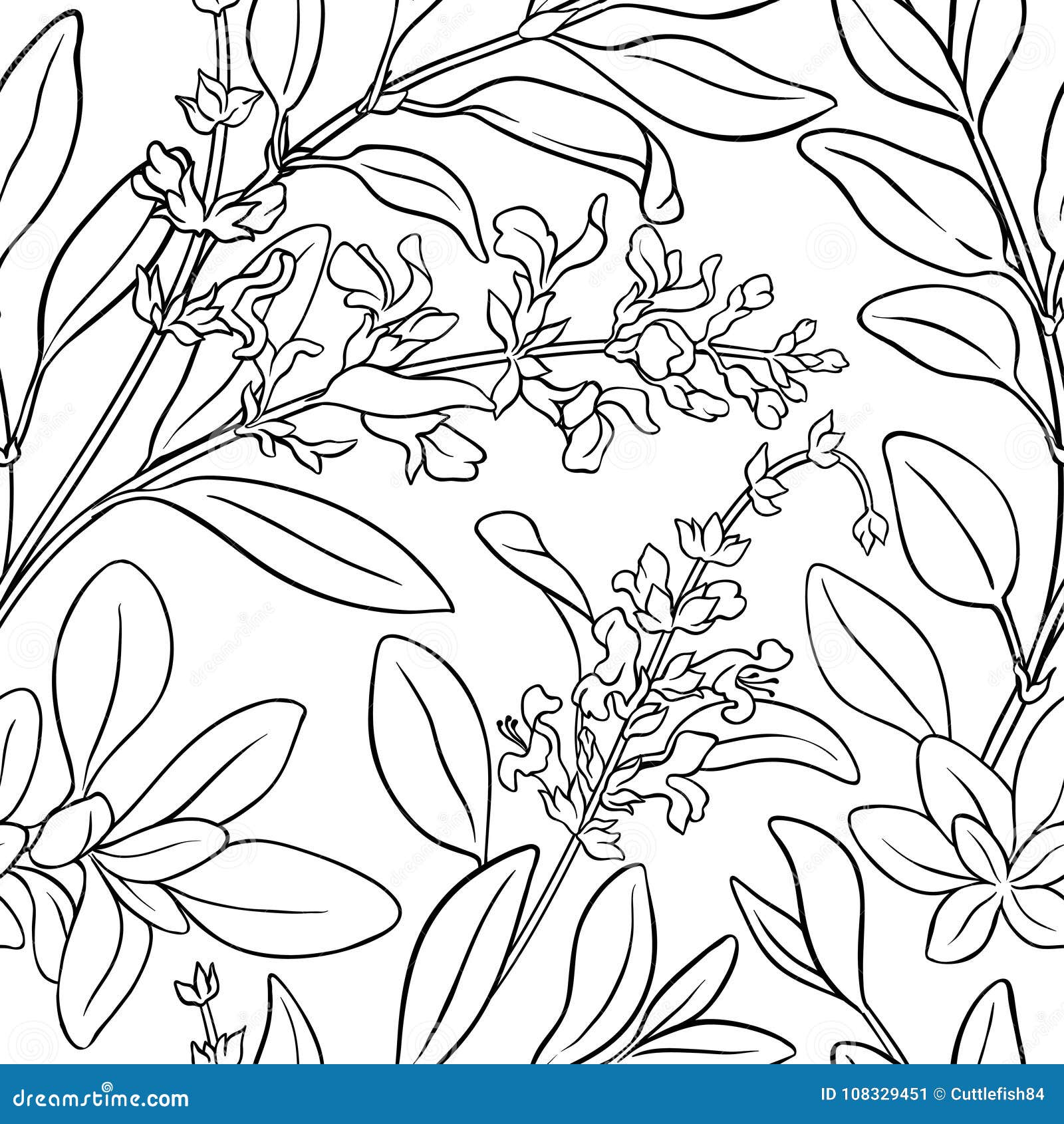 Sage seamless pattern stock vector. Illustration of freshness - 108329451
