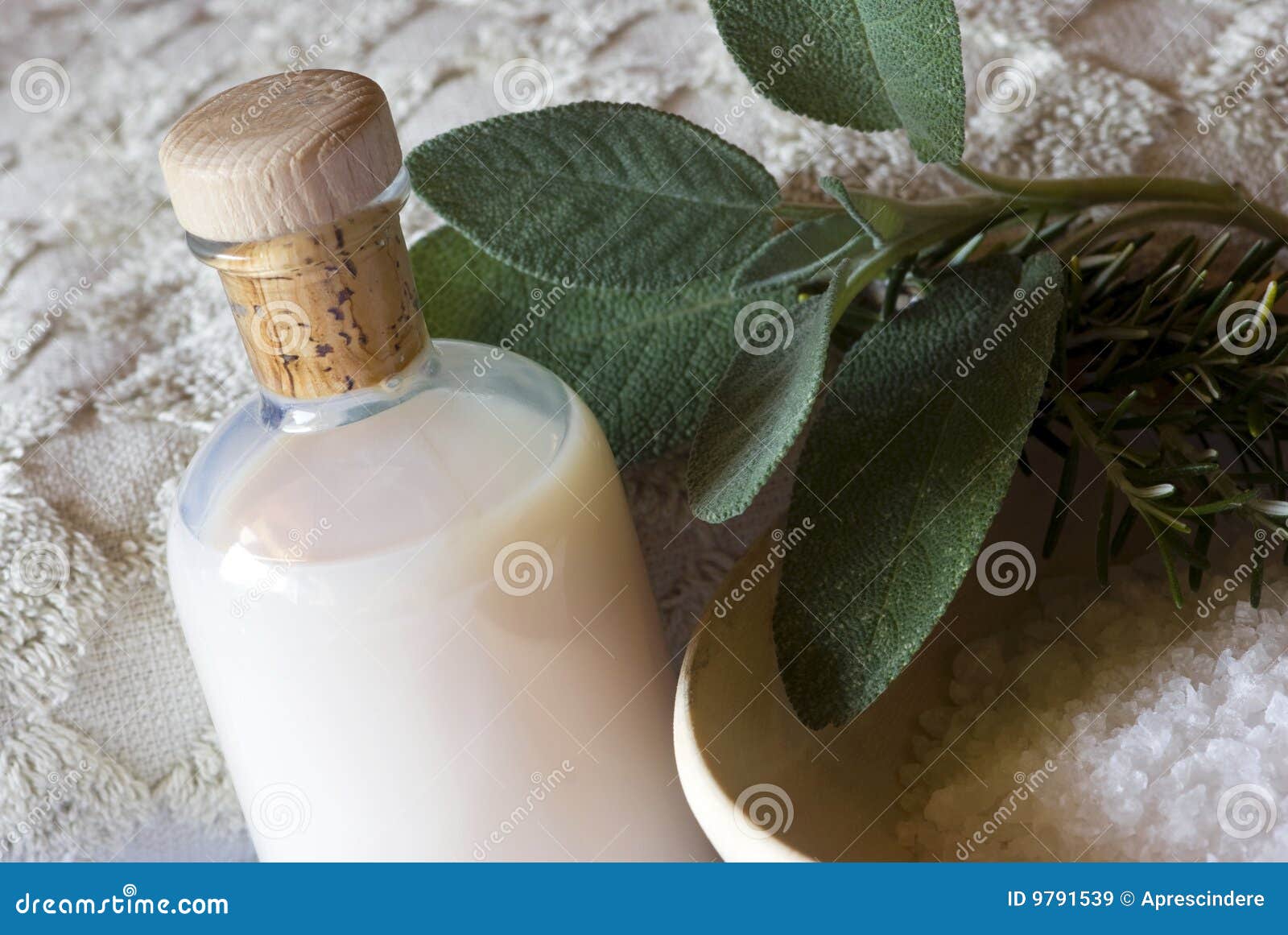 3,208 Sage Cook Stock Photos - Free & Royalty-Free Stock Photos from ...